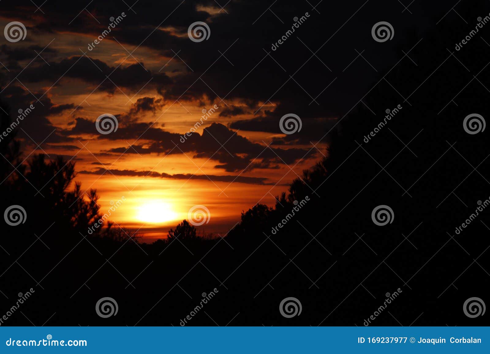 Dusk really Dark, Seen among the Trees Stock Image - Image of aurora ...