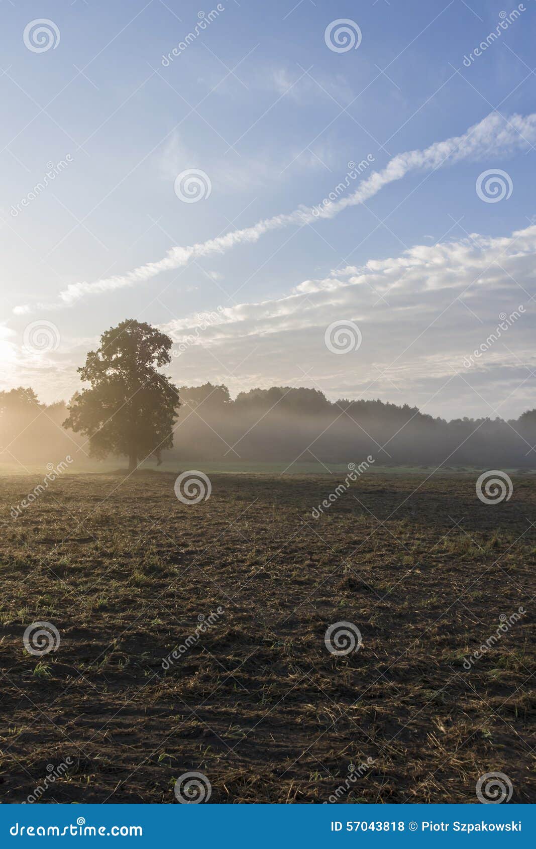 Dusk on farm stock photo. Image of tree, autumn, village - 57043818