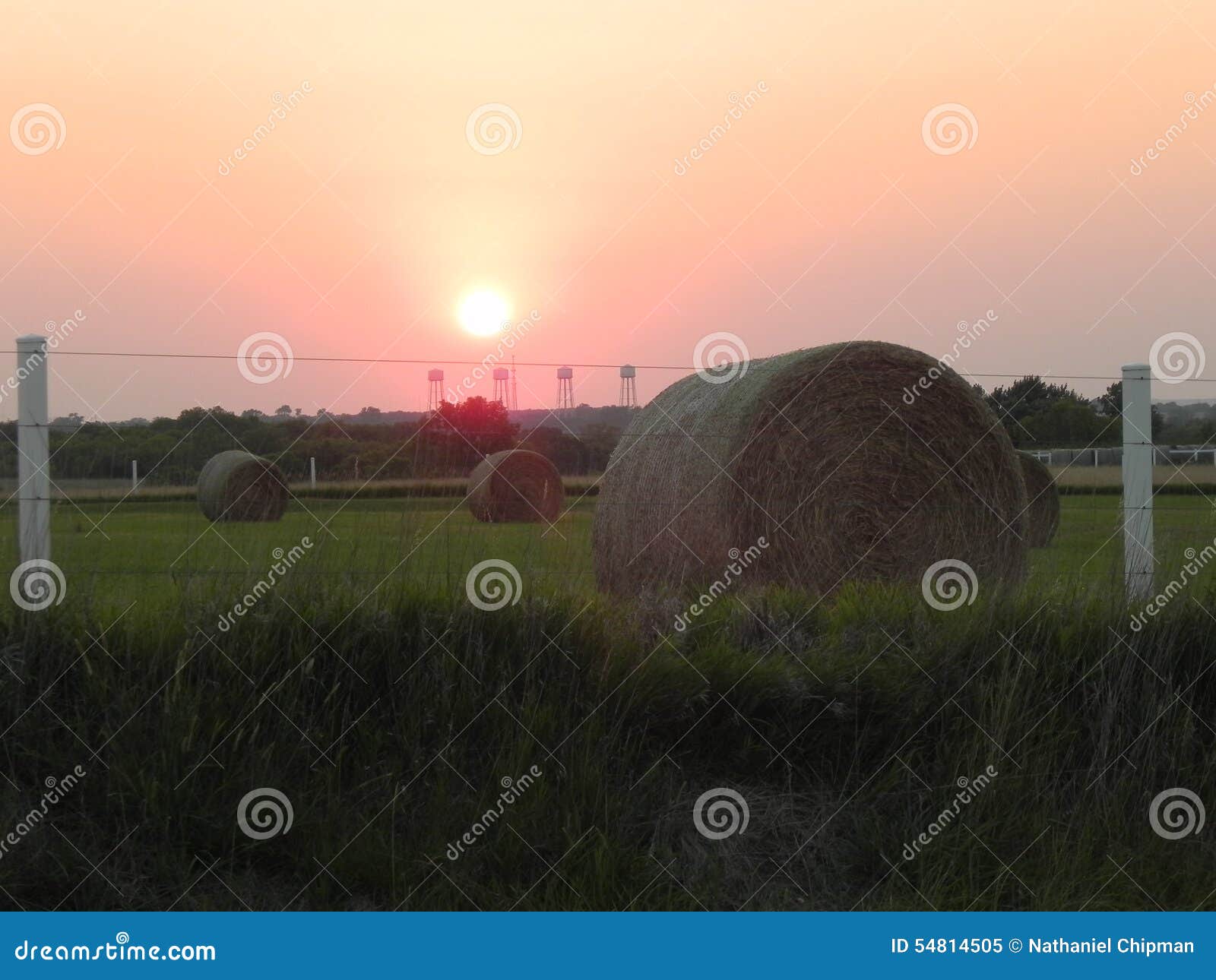 Dusk on the farm stock image. Image of trees, sunset - 54814505
