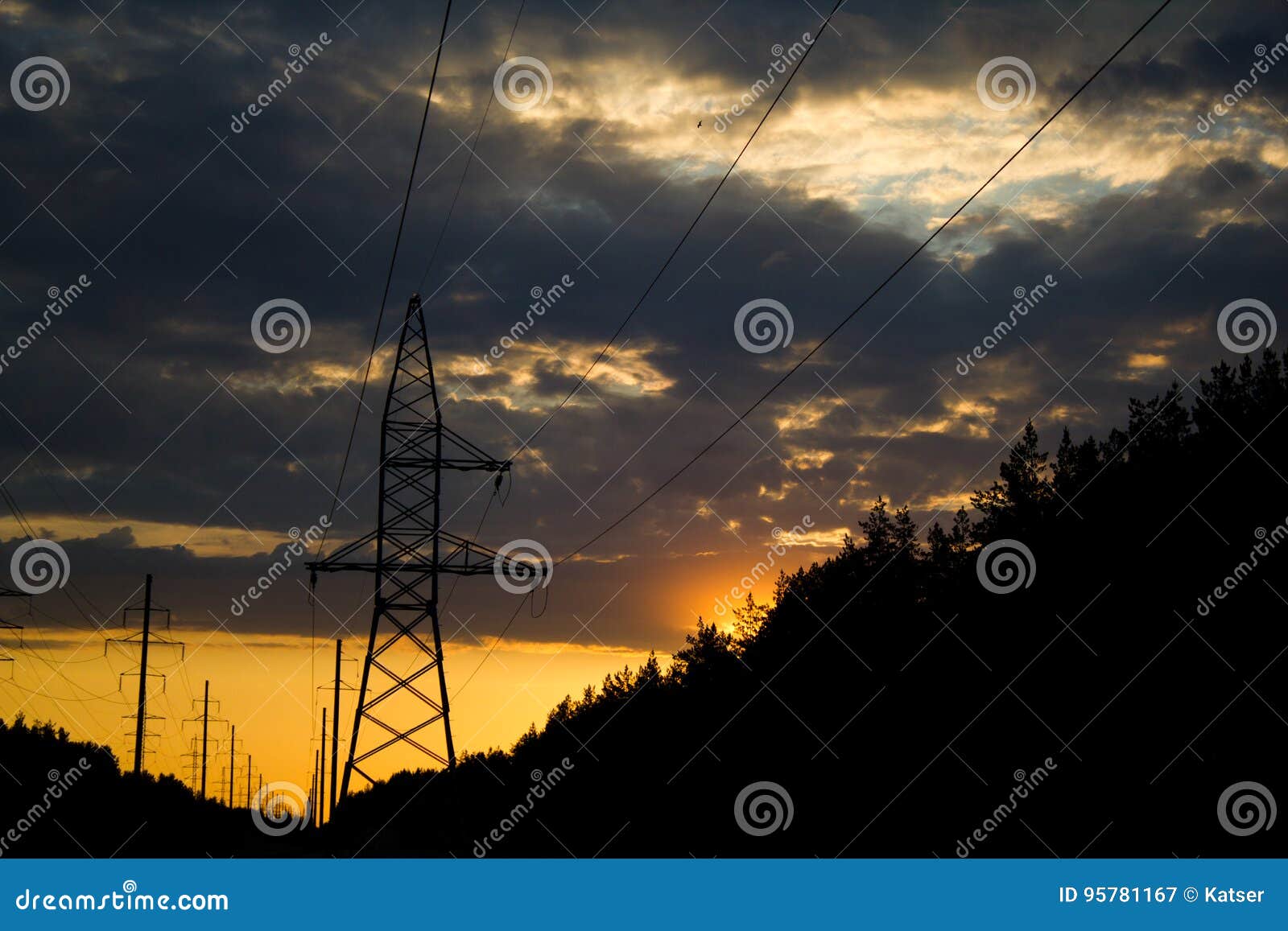 Dusk in the forest stock image. Image of forest, clouds - 95781167