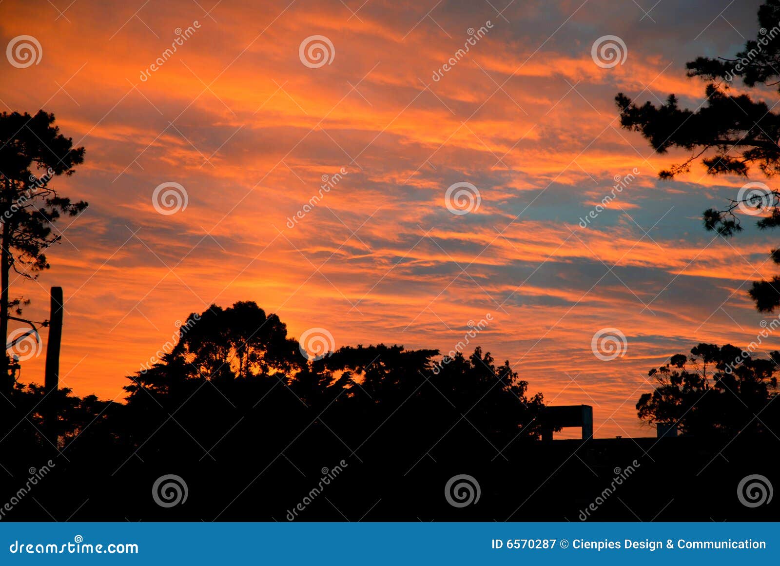 Dusk landscape stock image. Image of outdoors, field, tree - 6570287