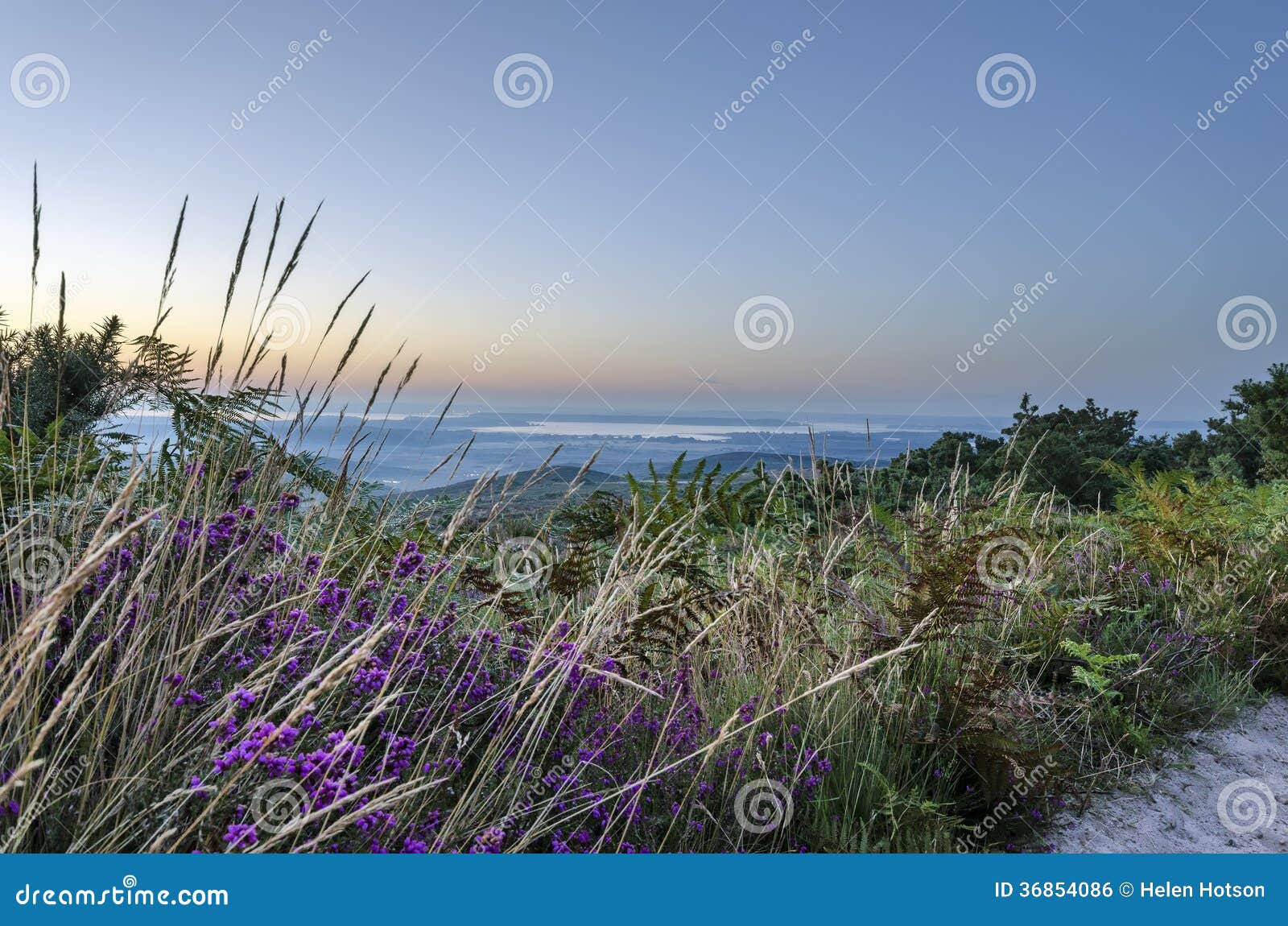 Dusk over Poole Harbour stock photo. Image of ling, beach - 36854086