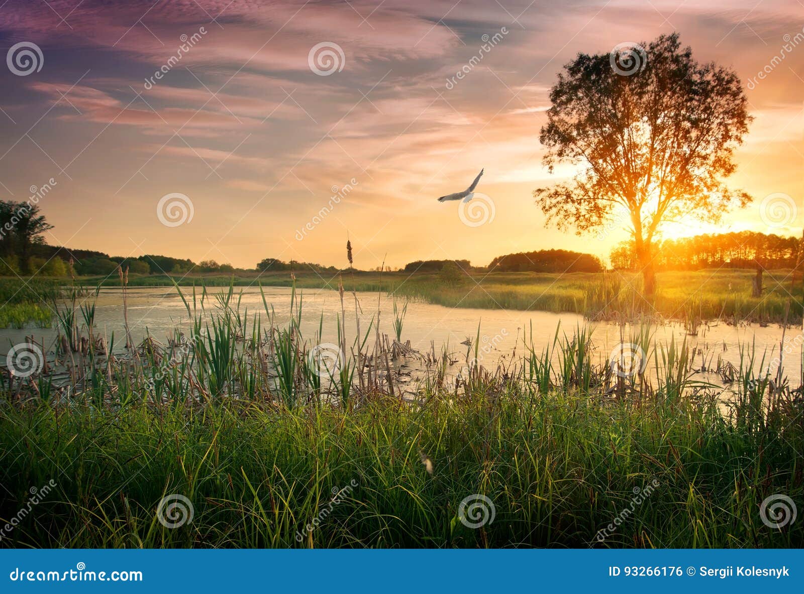 Dusk over river stock photo. Image of lake, freshness - 93266176