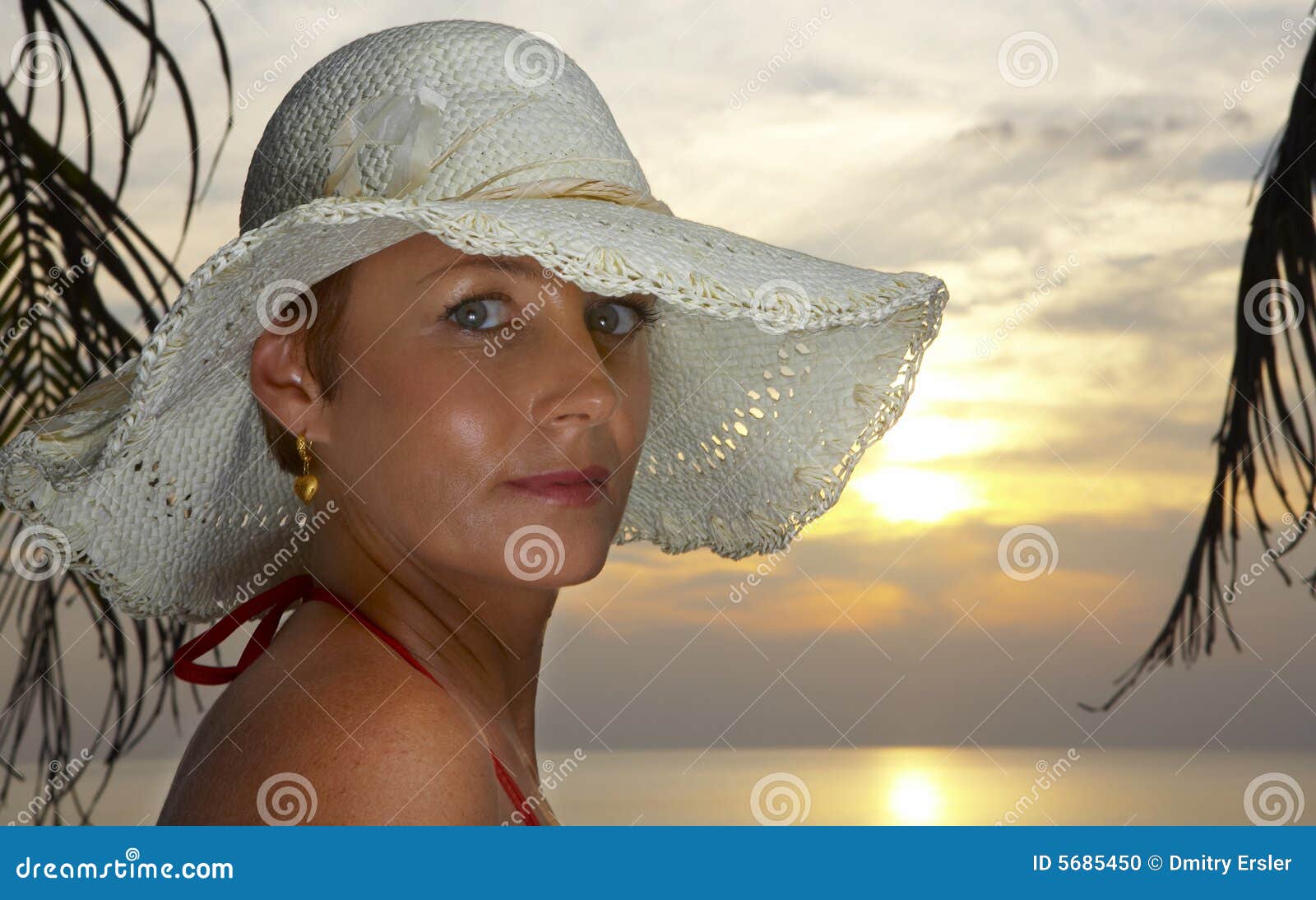 Dusk portrait stock photo. Image of dusk, evening, portrait - 5685450