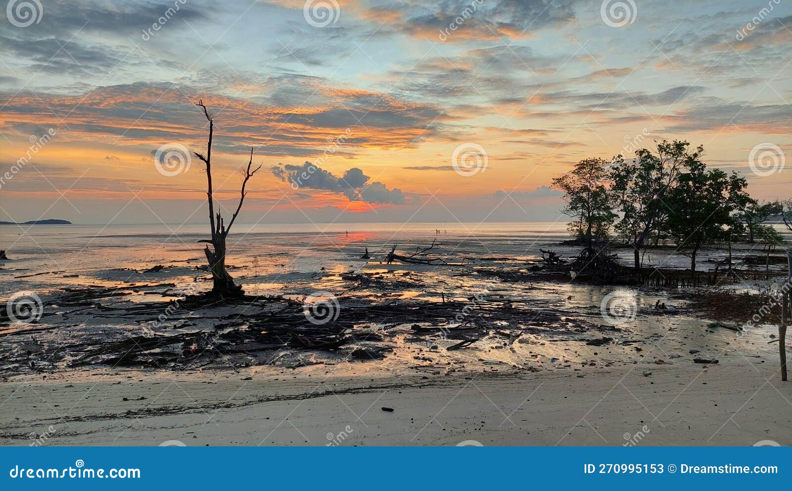 Dusk when the Sea Water is Receding. Stock Image - Image of sand, dawn ...
