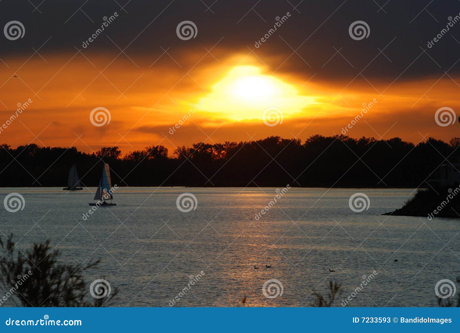 Dusk time in Africa stock image. Image of time, evening - 7233593