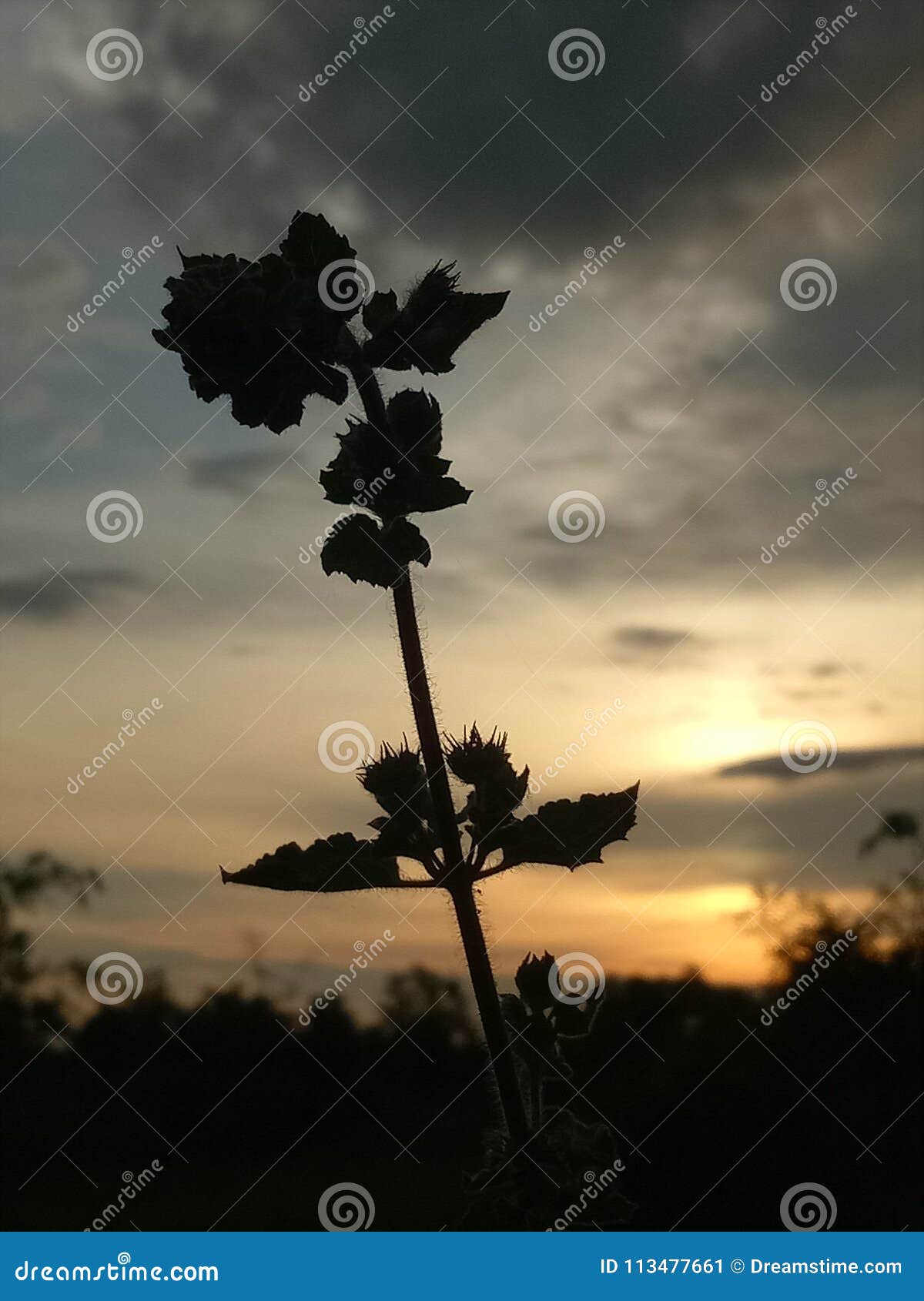 The dusk time stock image. Image of hope, time, dusk - 113477661