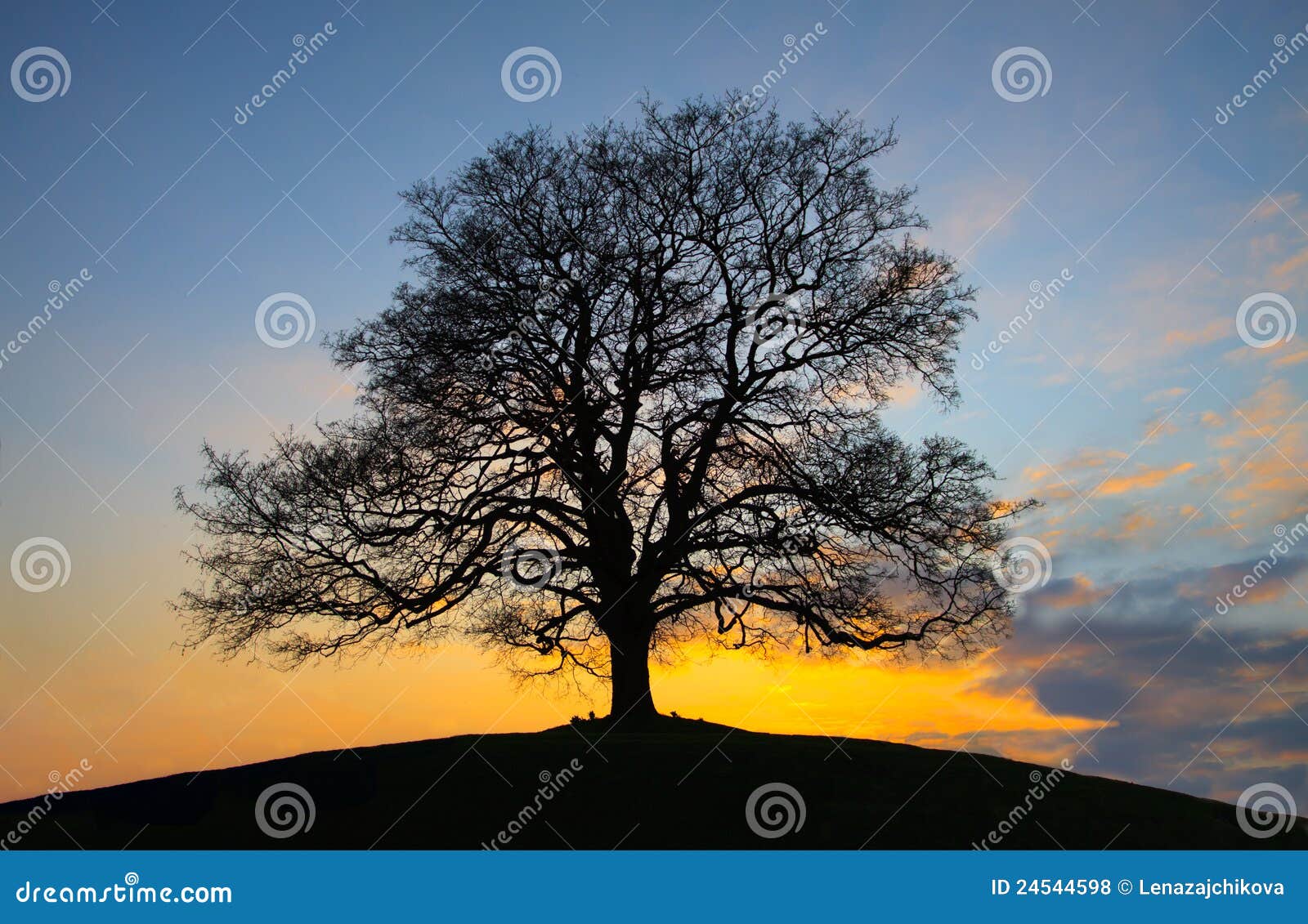 Dusk Tree at the Top of the Hill Stock Photo - Image of inspiring ...