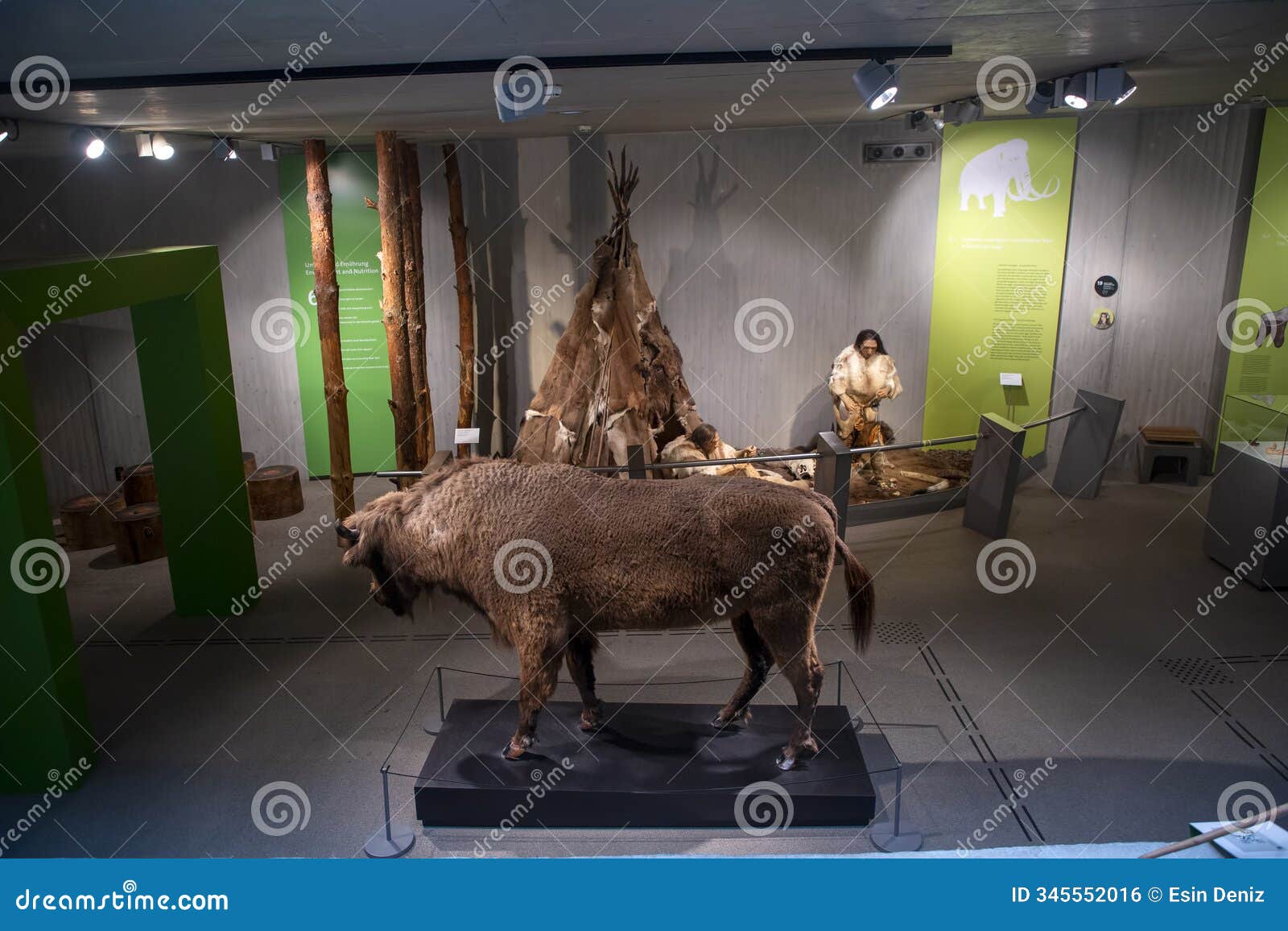 Dusseldorf, Germany, February 16, 2024, Neanderthal Museum in ...