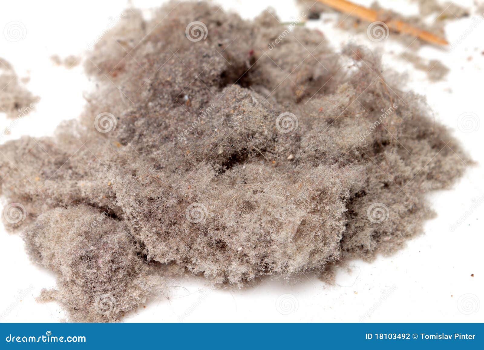 Dust stock photo. Image of sick, dangerous, sickness - 18103492
