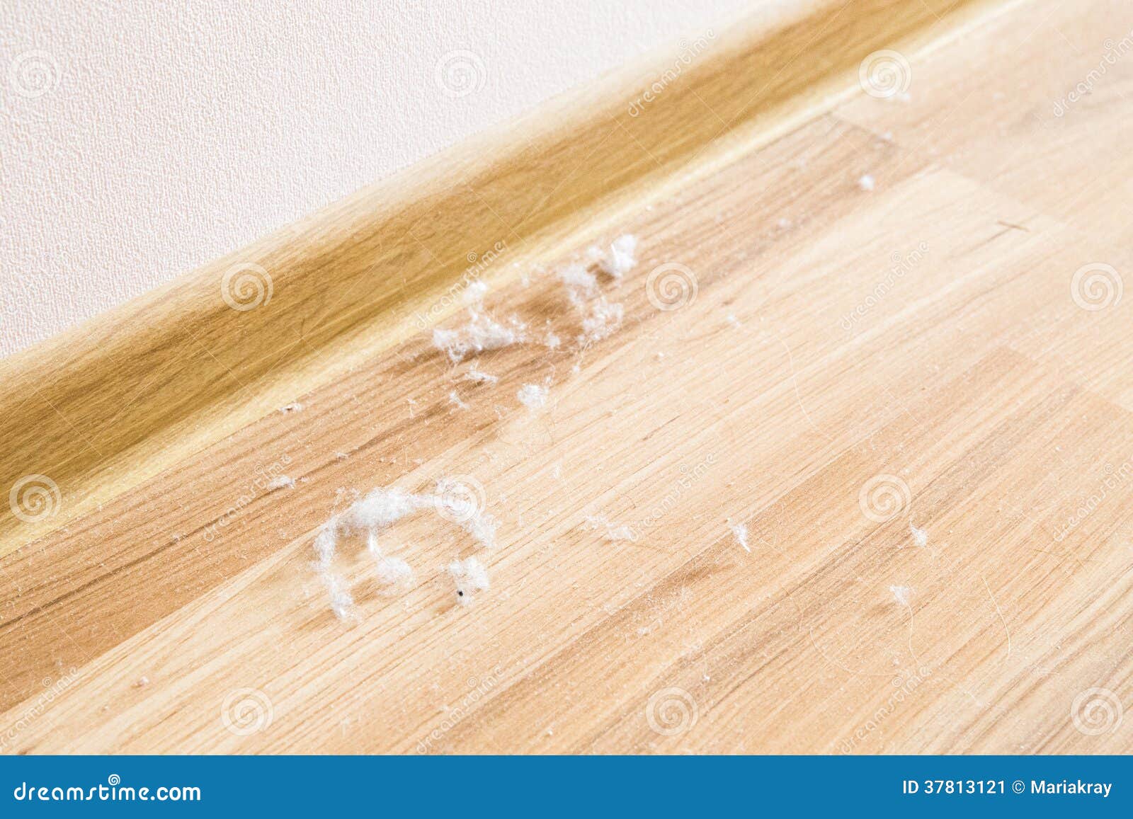 Dust stock image. Image of household, black, equipment - 37813121