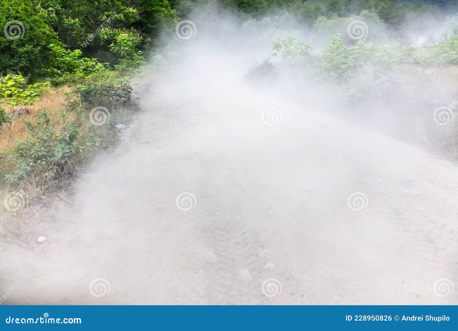 Dust from a car on a oad. stock photo. Image of nature - 228950826