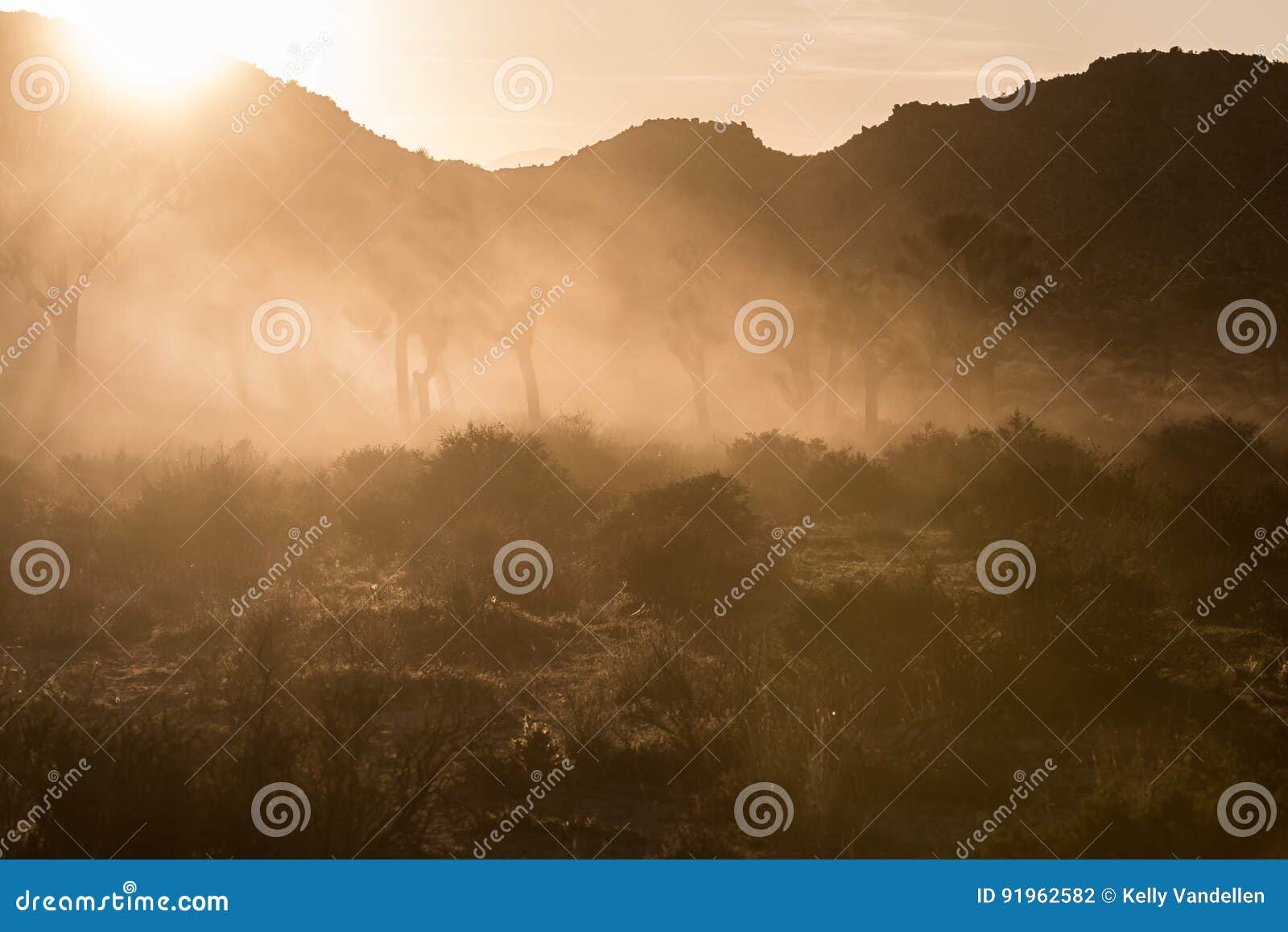 Dust Clouds the Air during Sunset at Joshua Tree Stock Photo - Image of ...