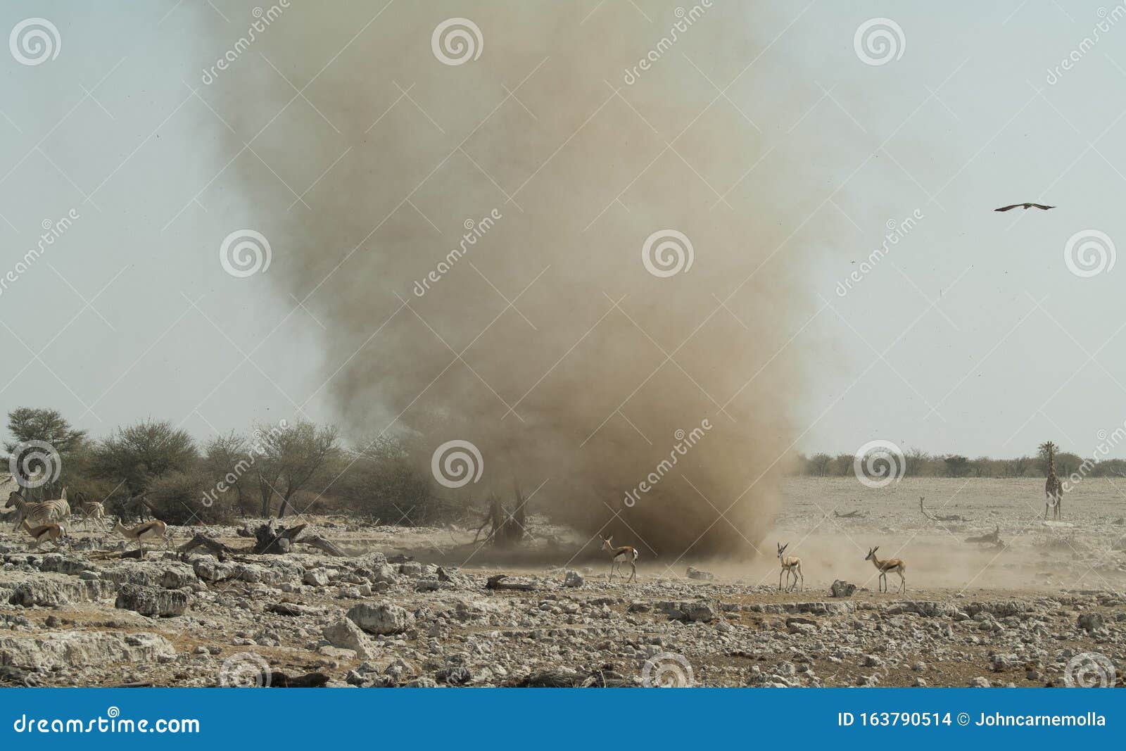 A Dust Devil in Etosha National Park Stock Photo - Image of namibia ...
