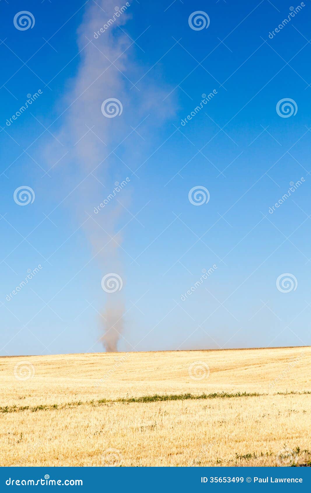 Dust Devil in a Field stock image. Image of devil, grasslands - 35653499