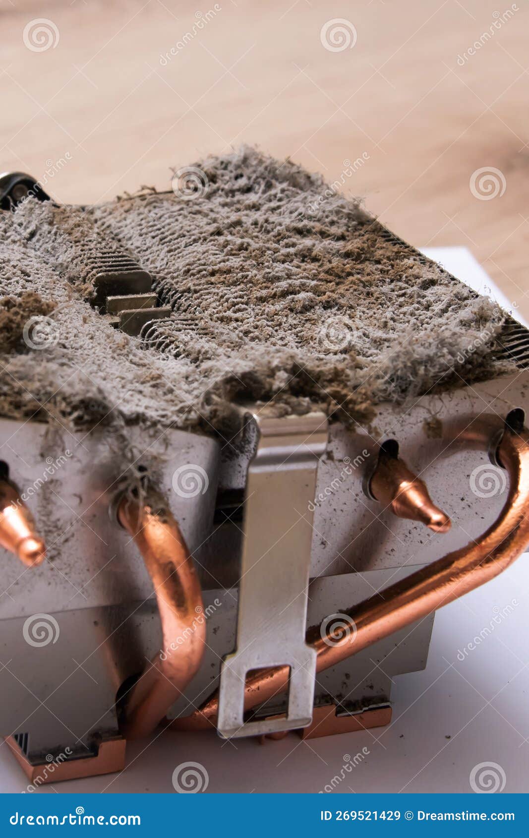 Dust on the Fan in the Computer Stock Image - Image of inside, hardware ...