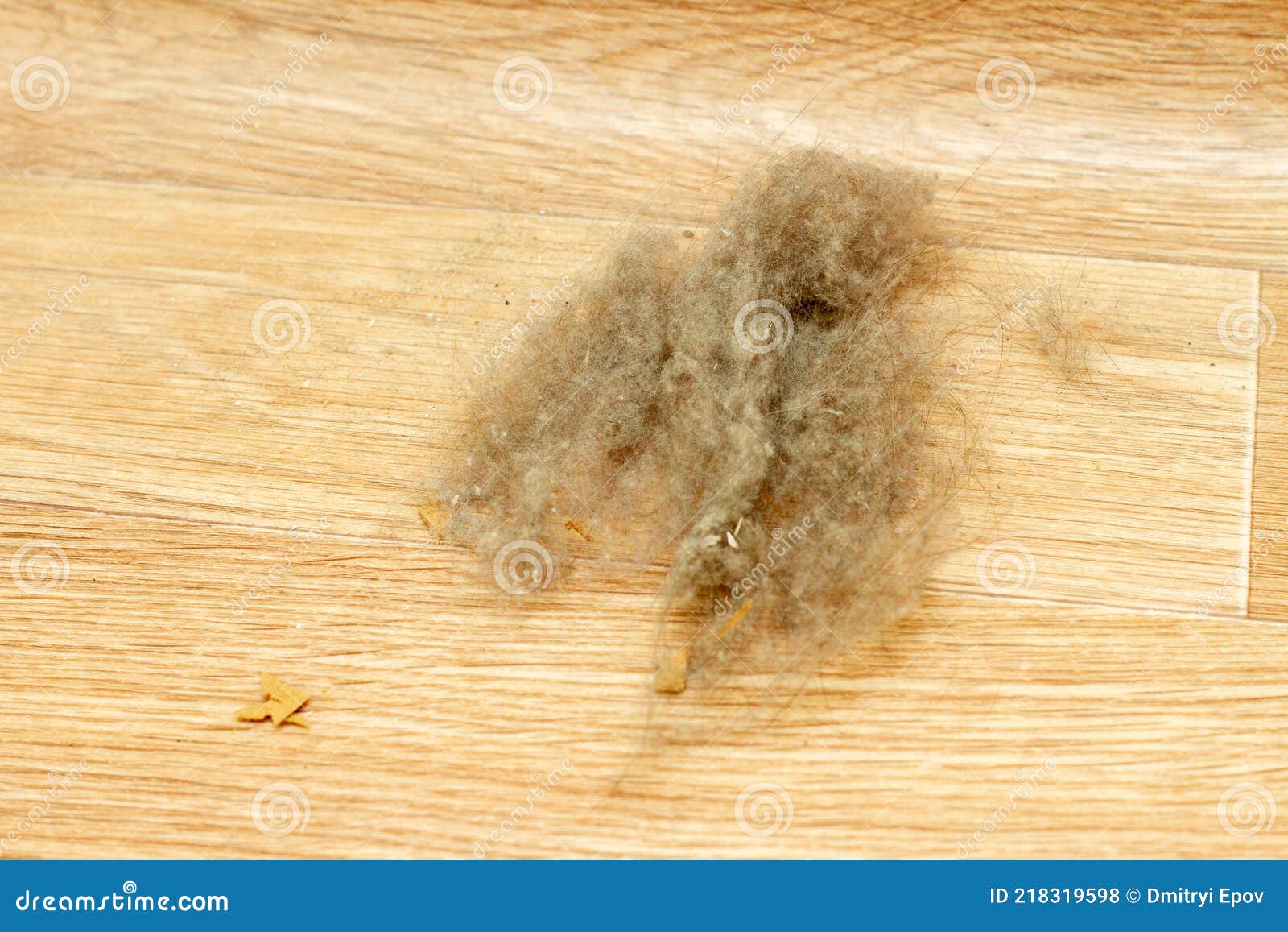 Dust on a floor in bedroom stock photo. Image of home - 218319598