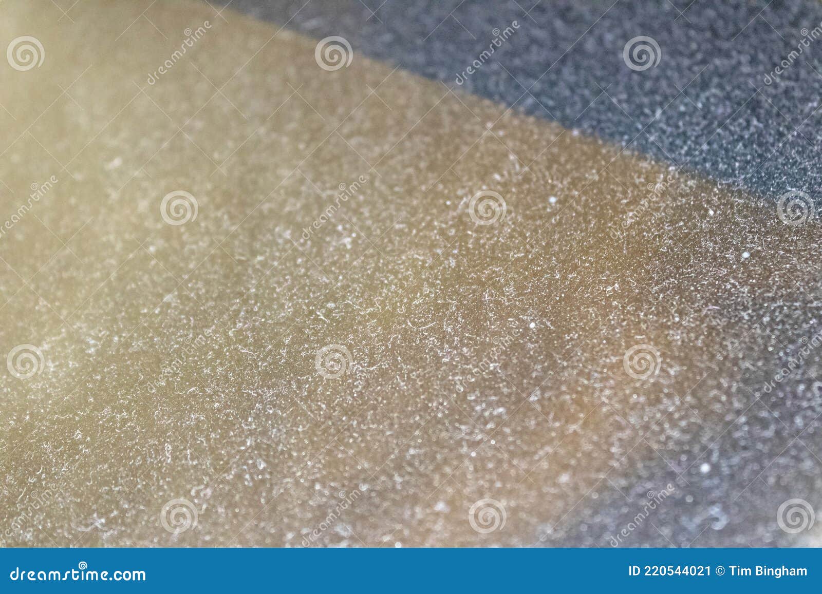 Dust on glass stock image. Image of dust, clear, dusty - 220544021
