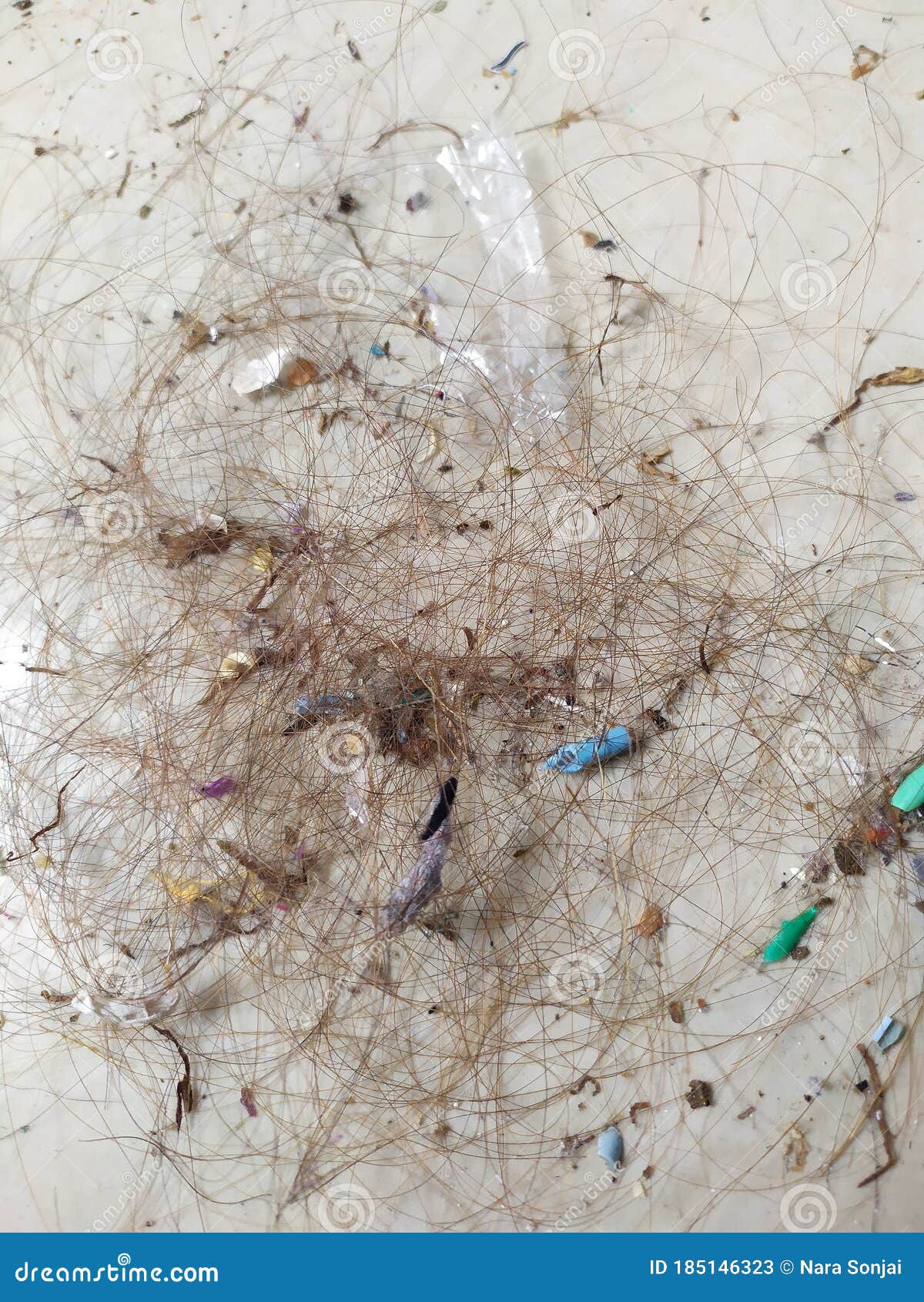 The Dust and Hair Were Swept Together Stock Image - Image of pattern ...