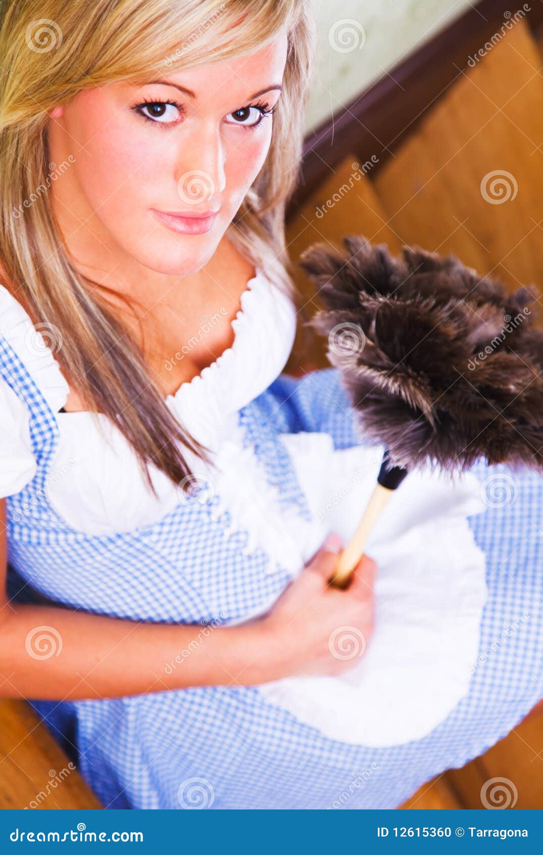 Dust housekeeping stock photo. Image of adult, chores - 12615360