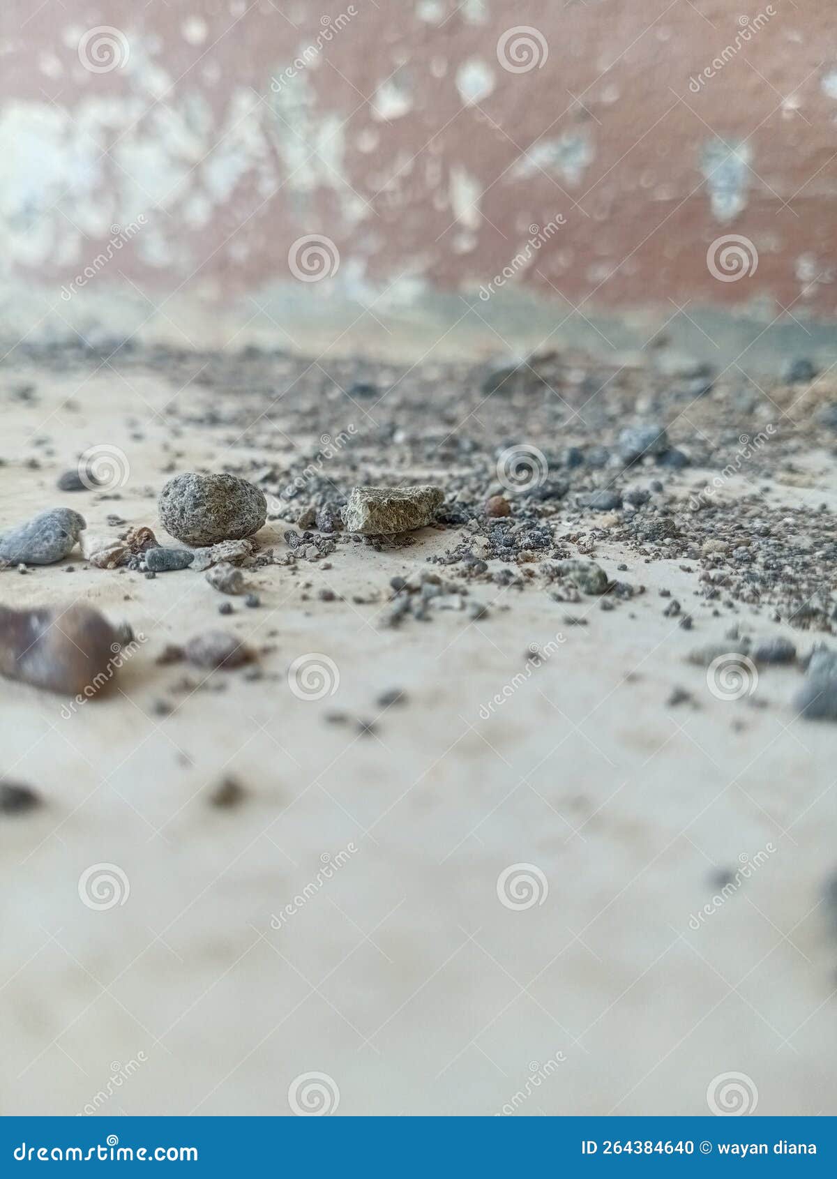 Dust i stock photo. Image of leaf, rock, floor, soil - 264384640