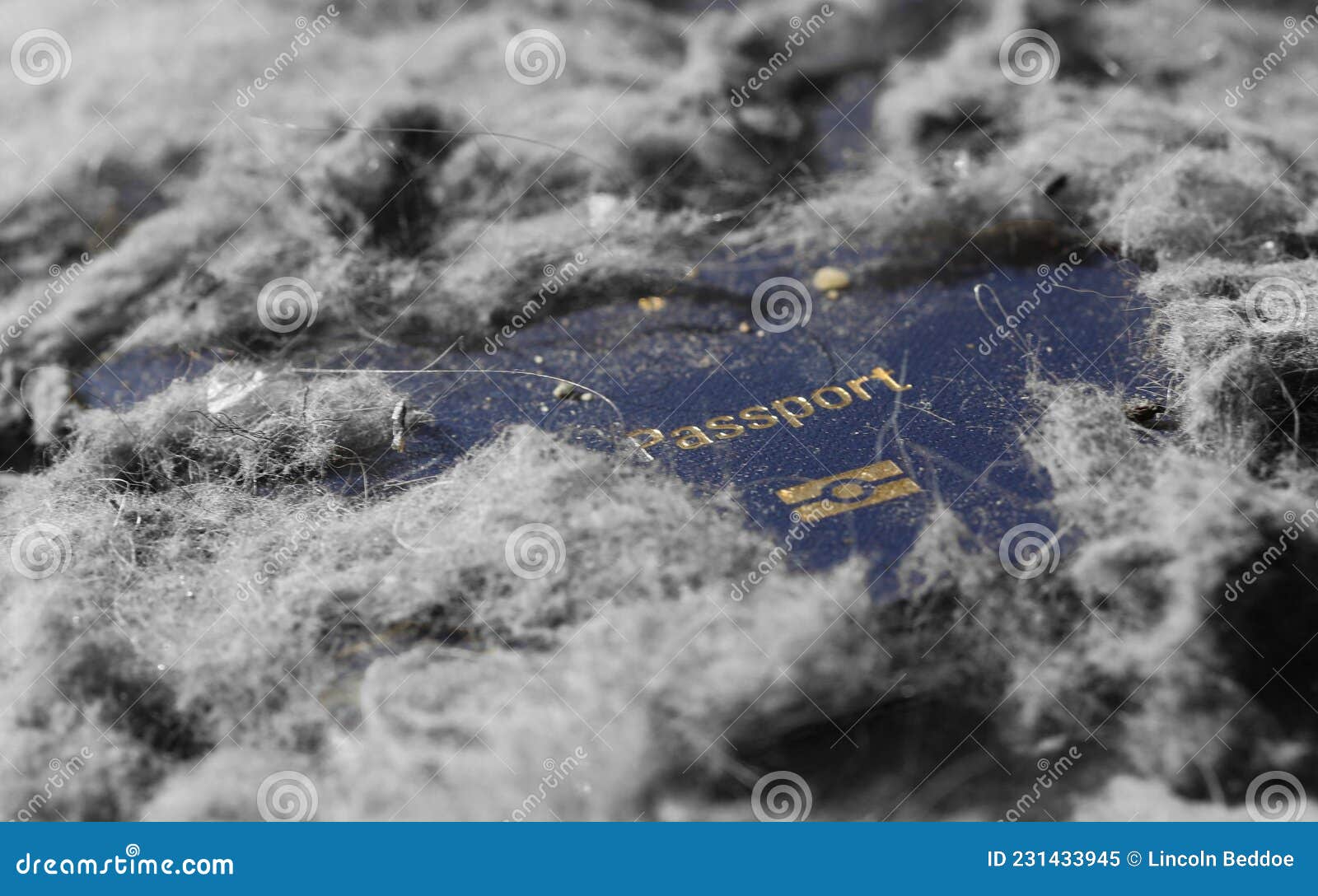 Dust Off the Passport and Travel Documents, International Travel is ...