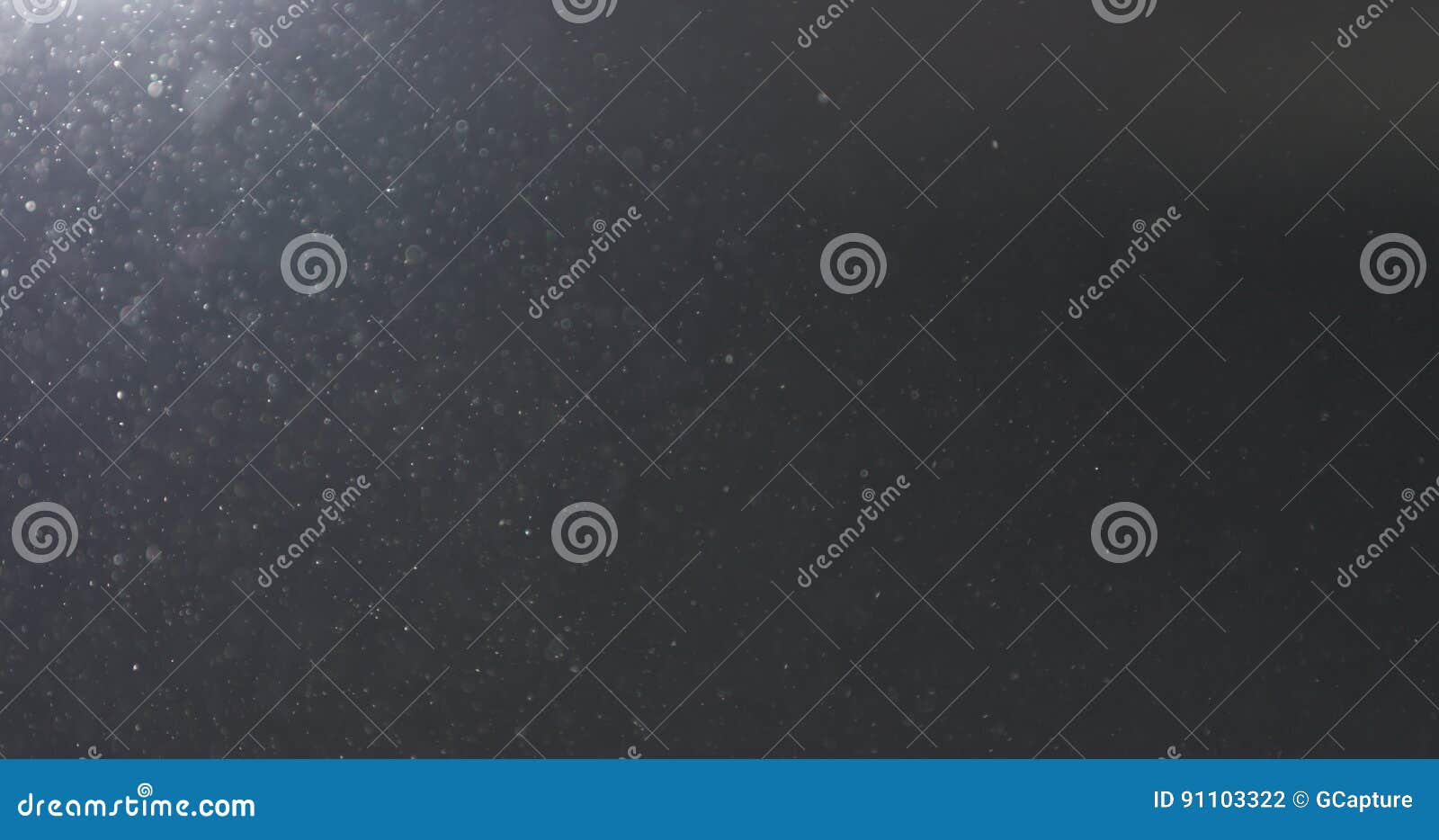 Dust Particles Falling On Black Background, Macro. Dust Particles Fly ...
