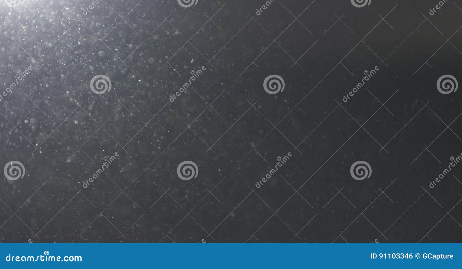 Dust Particles Falling On Black Background, Macro. Dust Particles Fly ...