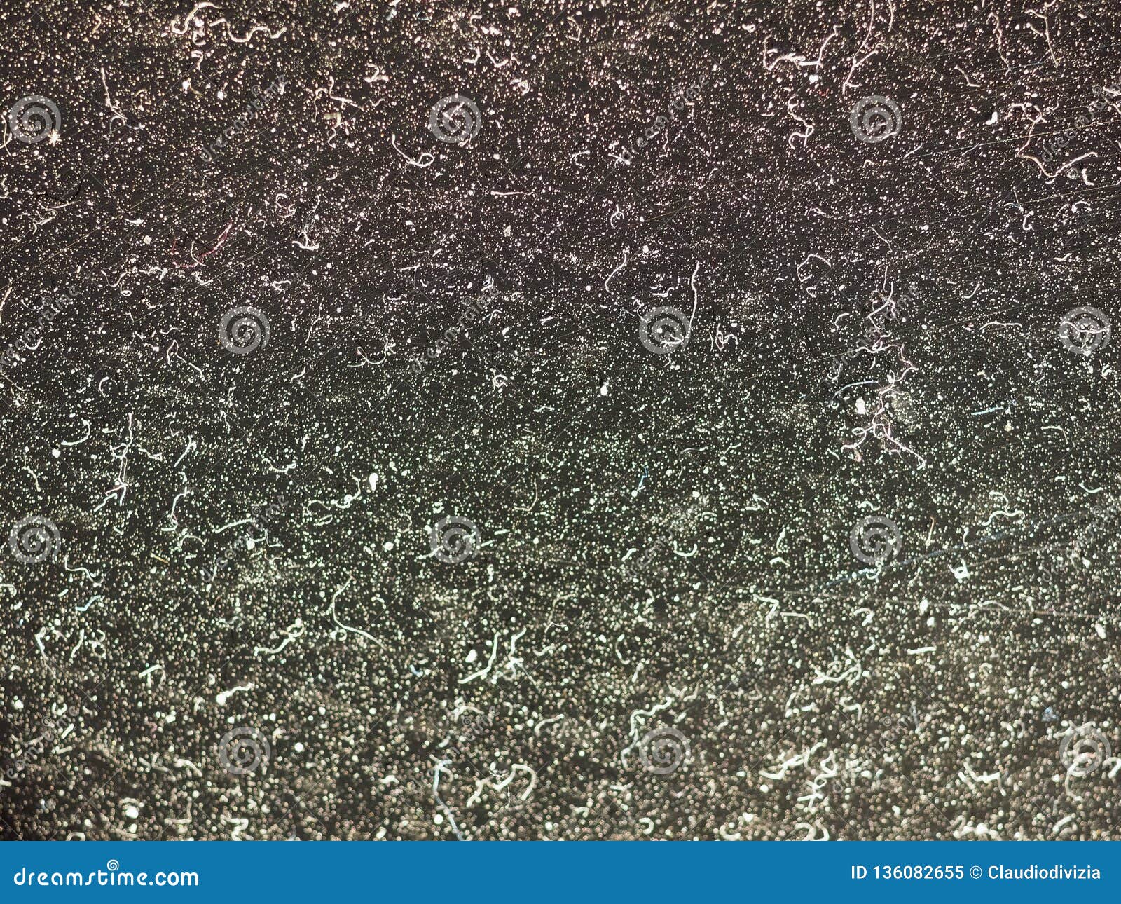 Dust particles macro view stock image. Image of particles - 136082655