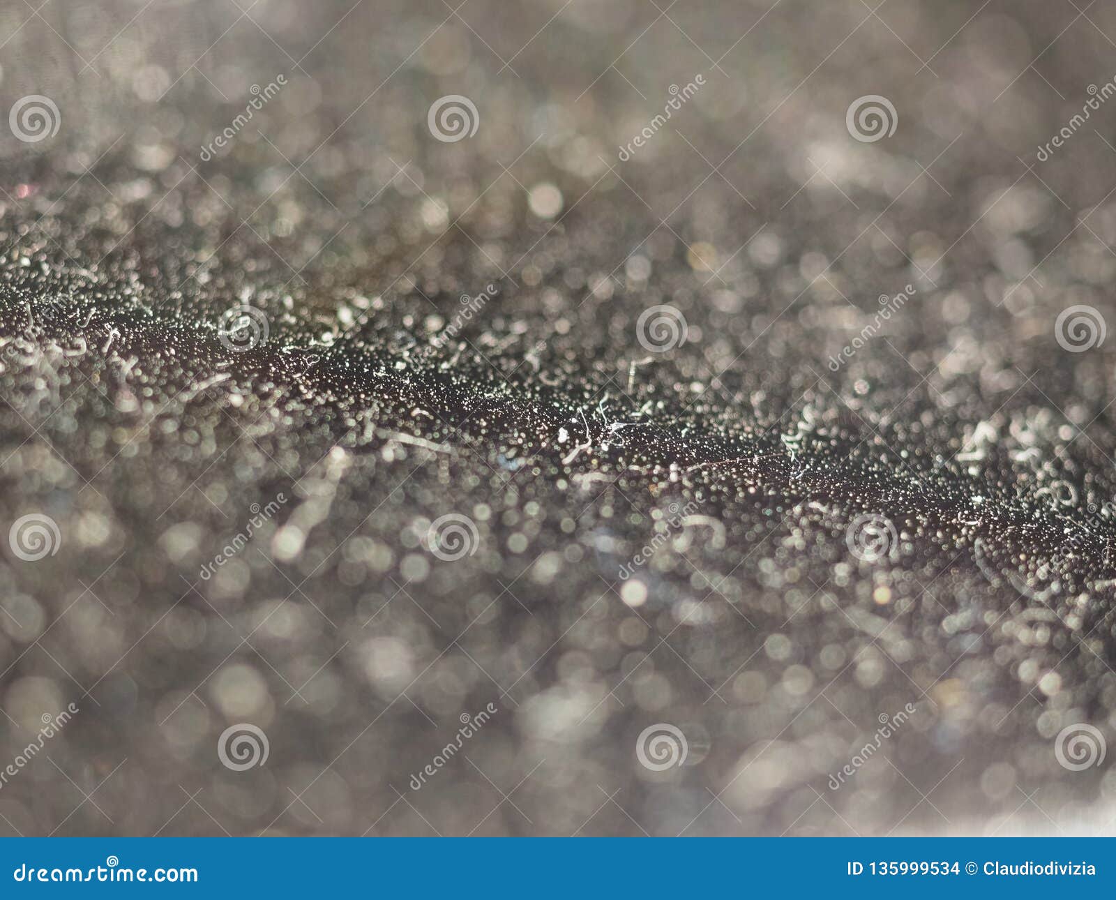 Dust particles macro view stock photo. Image of solid - 135999534