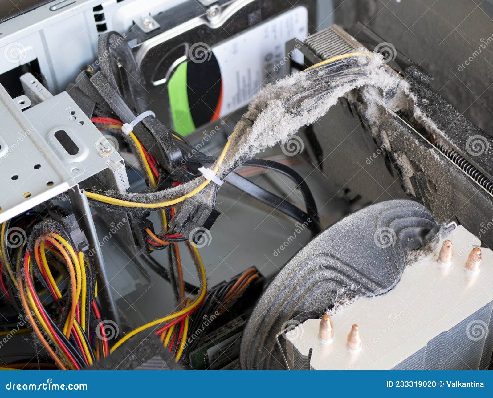 Dust in the Personal Computer Case. Video Card, Cooler and Other ...