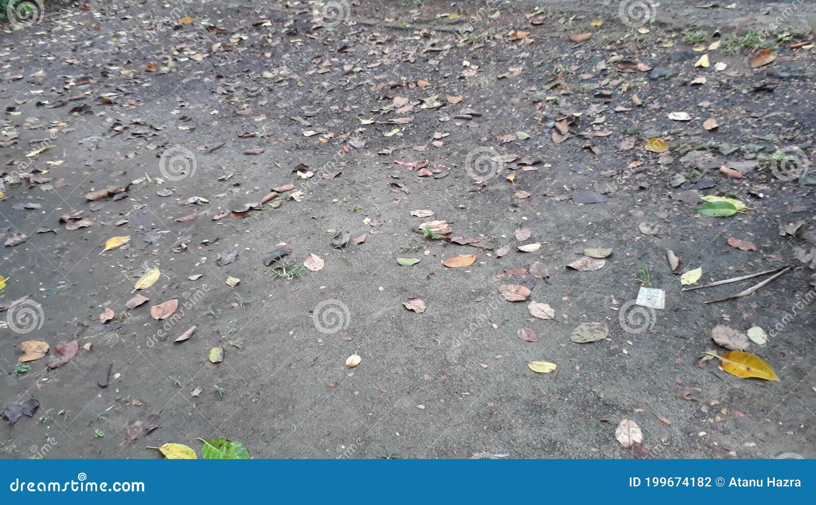 Dust of road stock photo. Image of nongra, road, moyla - 199674182