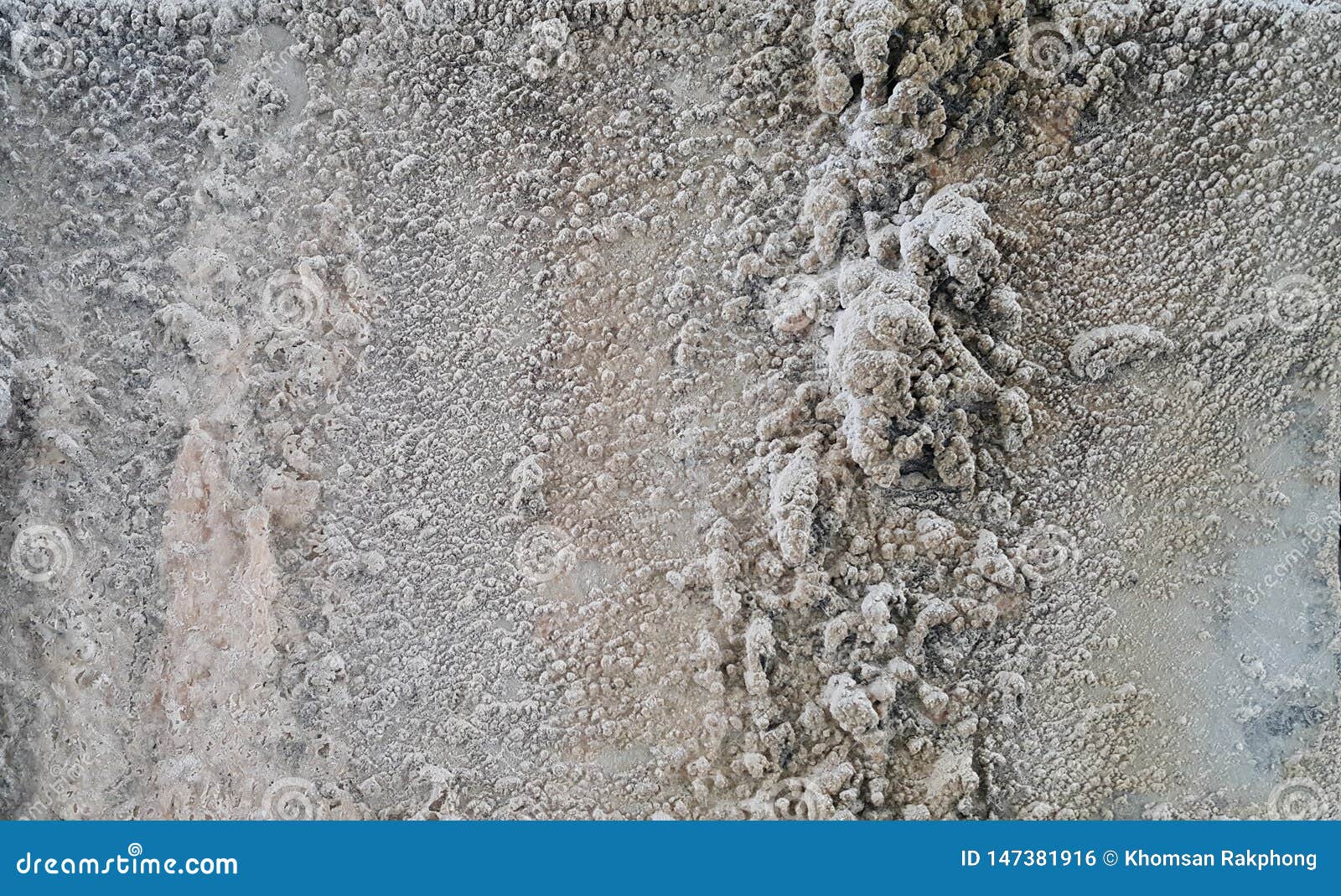 Taxture Detail of Surface is Abstract Background Stock Photo - Image of ...