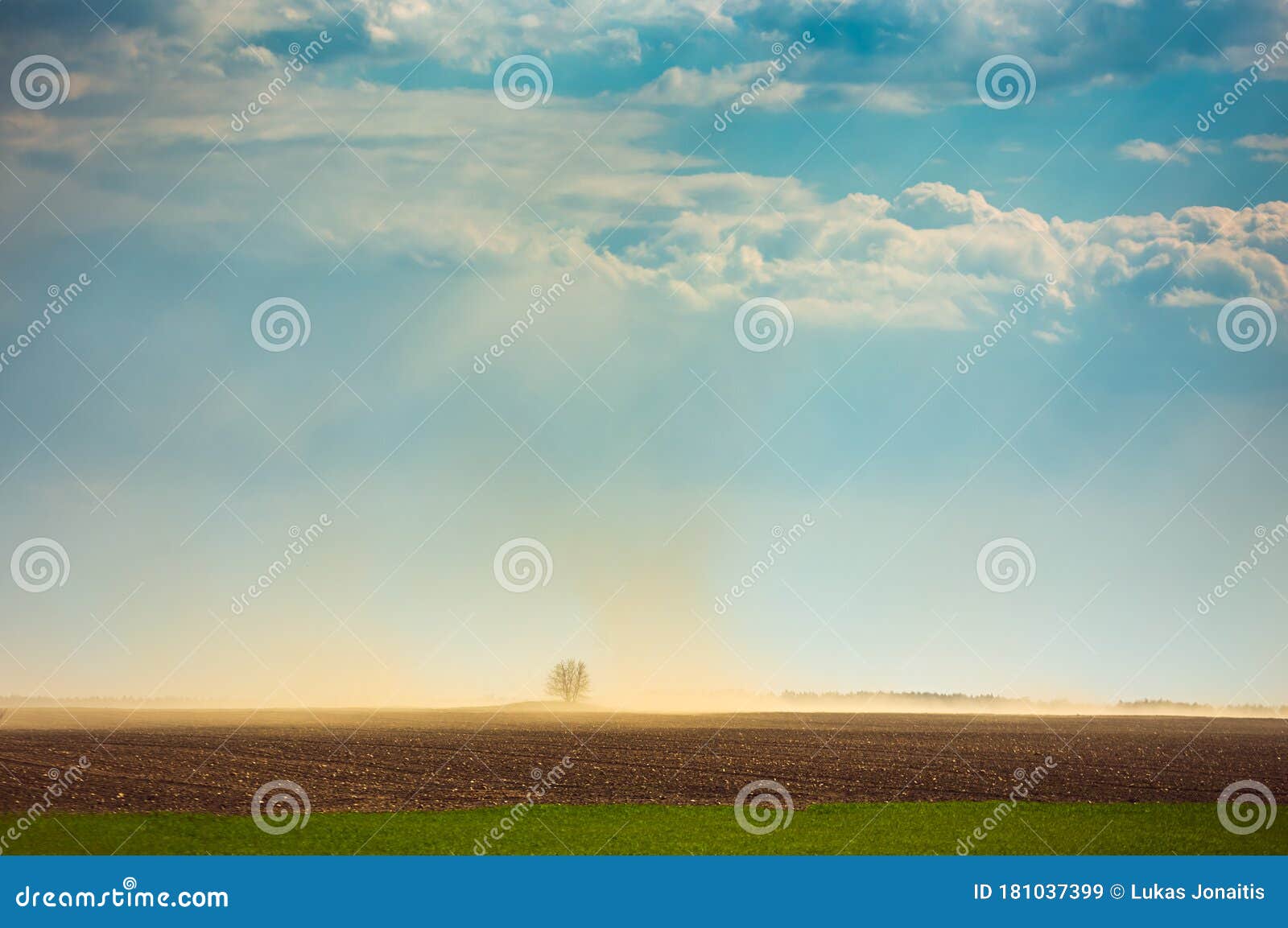 Dust Storm in Dry Fields, Dry Weather Infuenced by Climate Change Stock ...