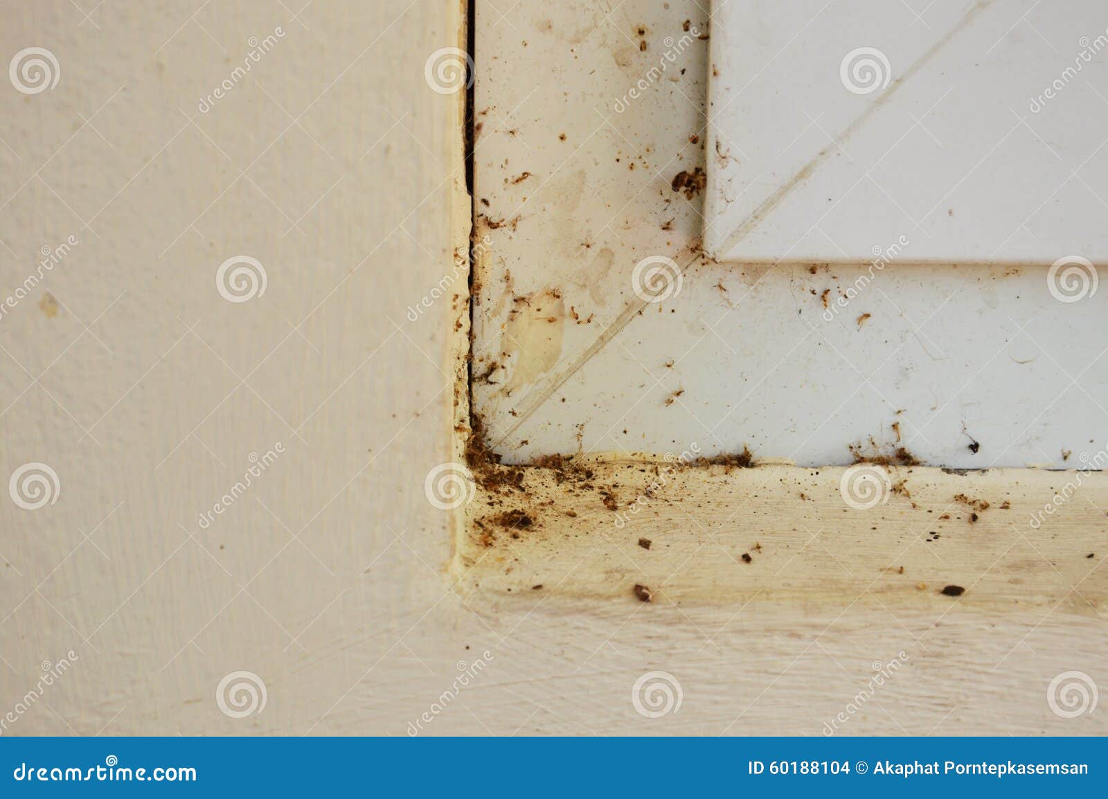 Dust on Window Frame in House Stock Photo - Image of cement, house ...