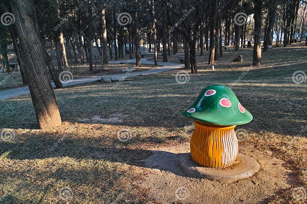 Dustbin stock photo. Image of tree, winter, forest, dustbin - 36577268