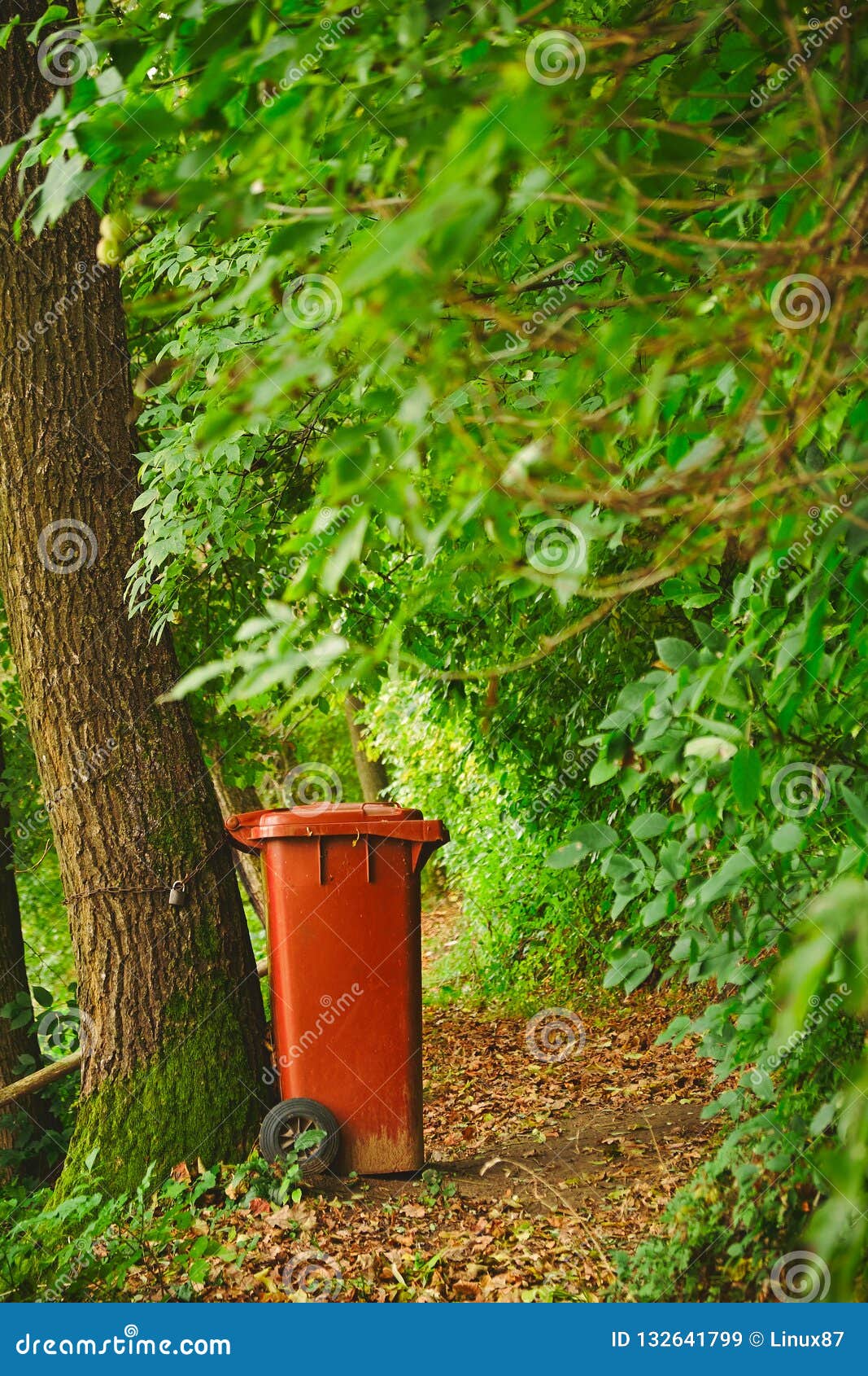 Dustbin in nature stock image. Image of pollution, junk - 132641799