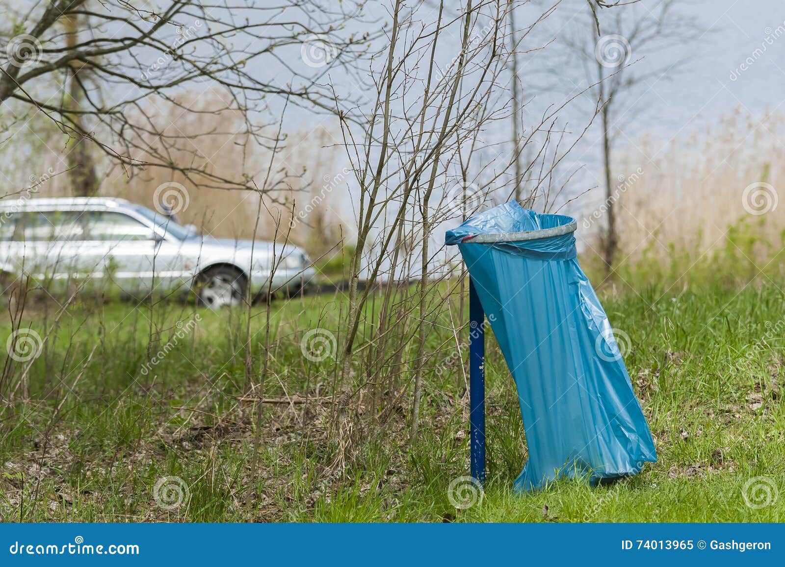 Dustbin in the Park. Littering. Stock Image - Image of container ...