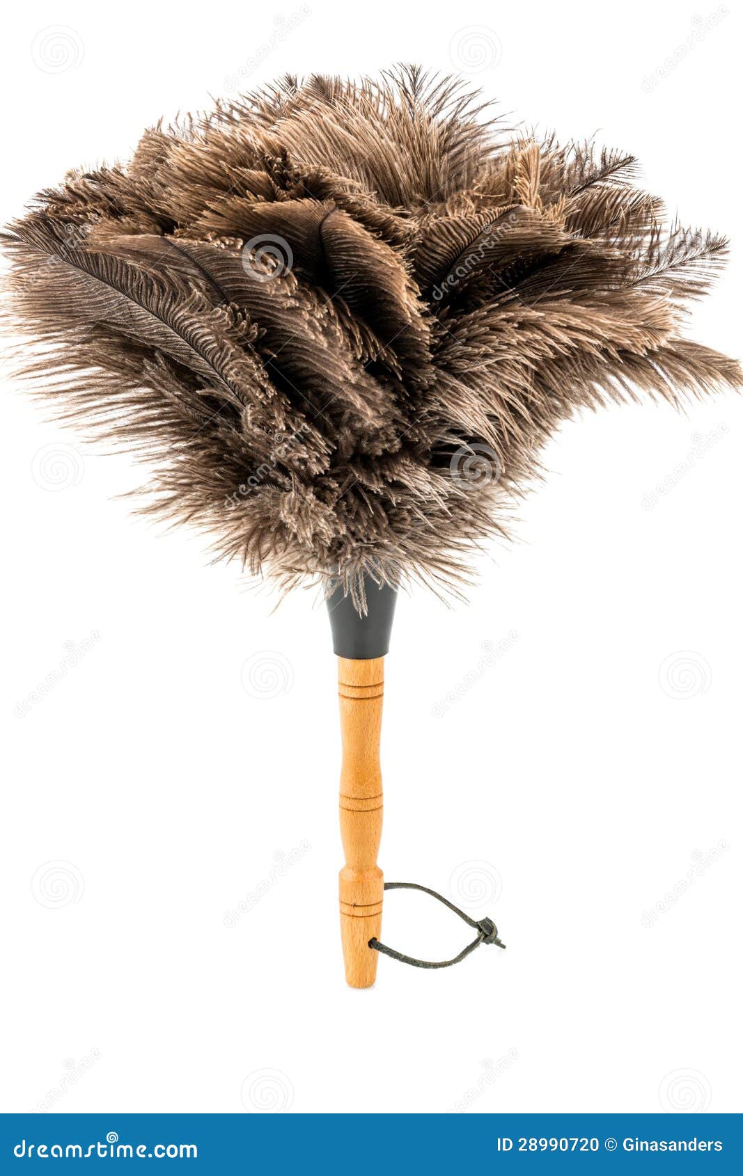 Pernickety Stock Photos - Free & Royalty-Free Stock Photos from Dreamstime