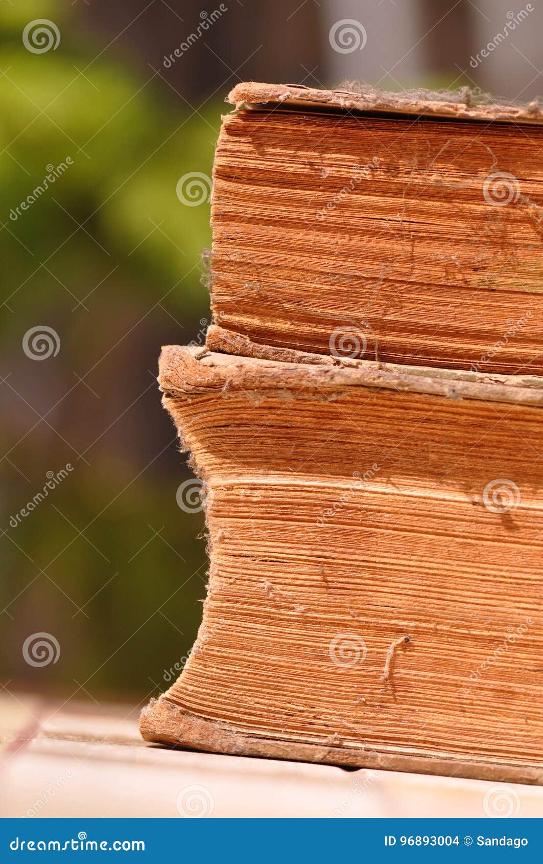 Dusty books stock photo. Image of words, spiderweb, grey - 96893004