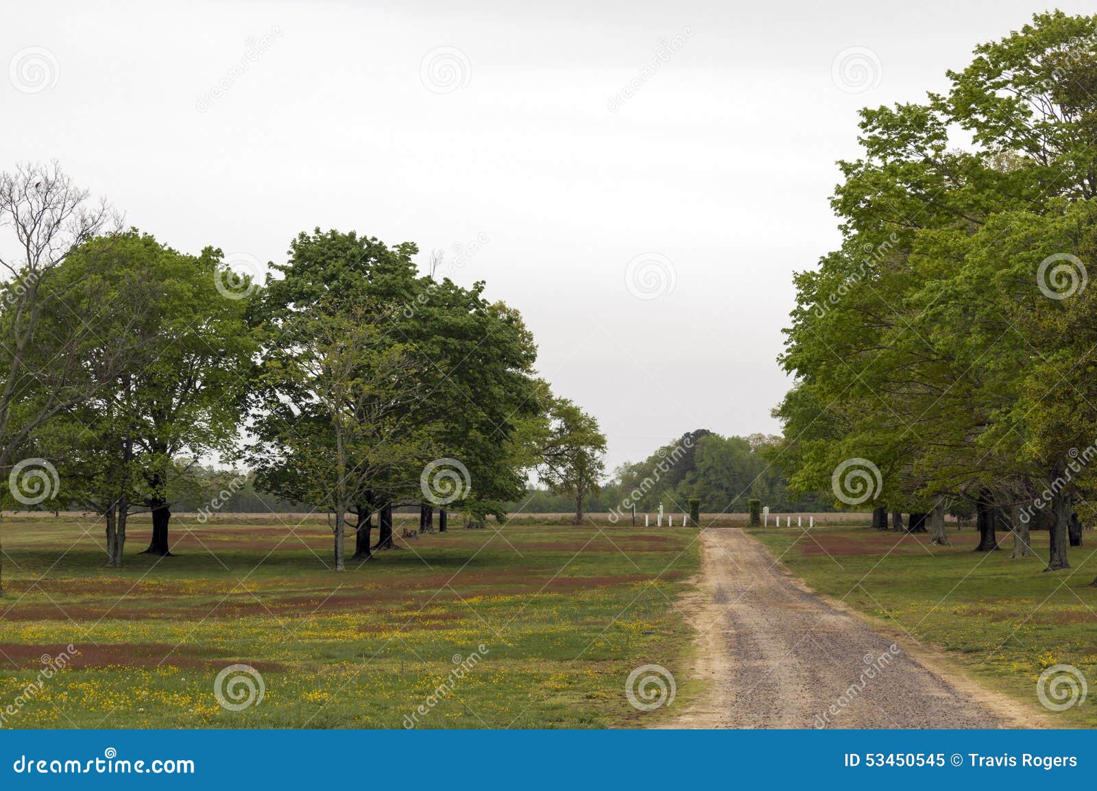 Dusty Country Driveway stock image. Image of driveway - 53450545