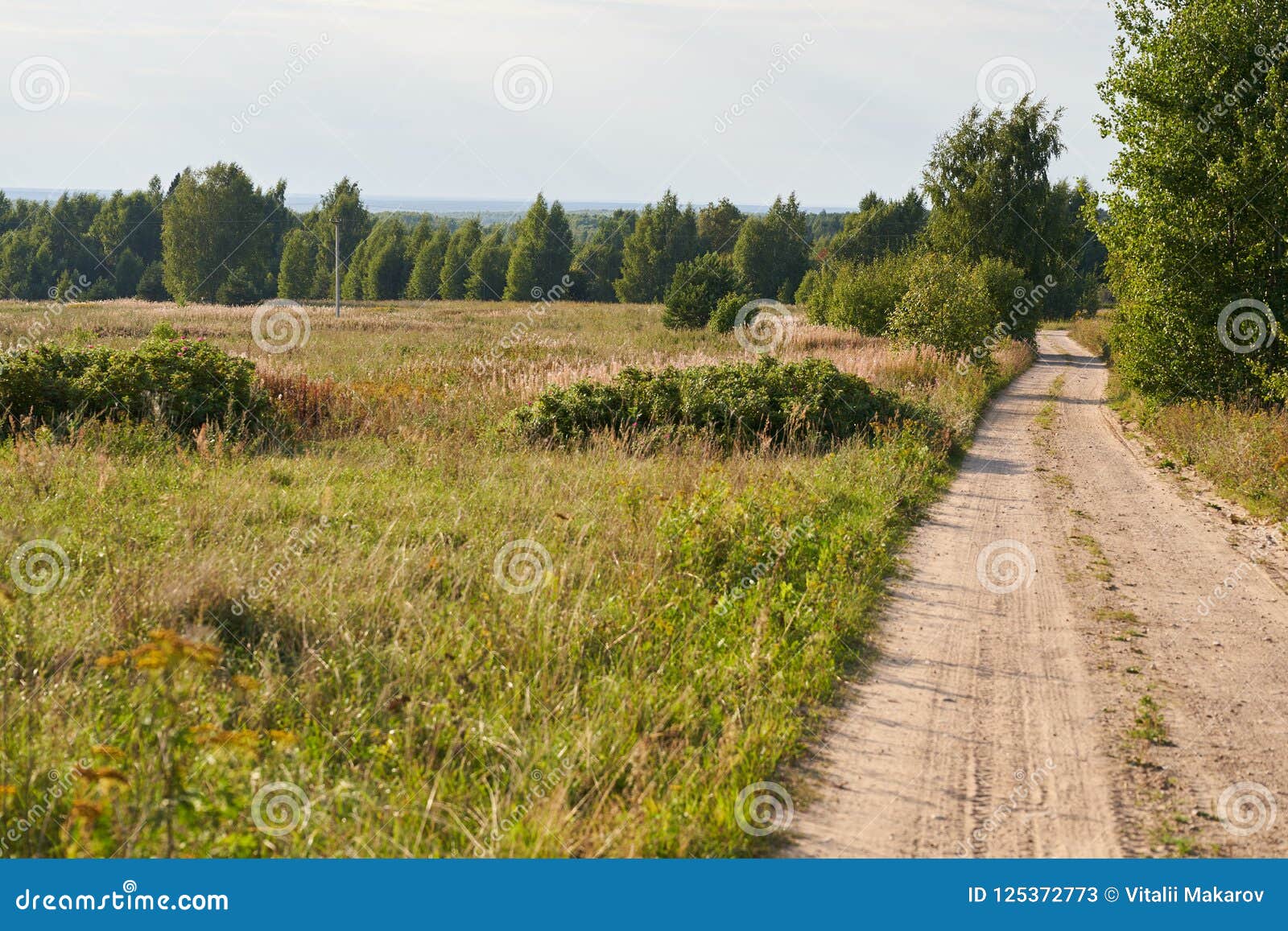 Dusty Empty Country Road through a Field Stock Image - Image of dirt ...
