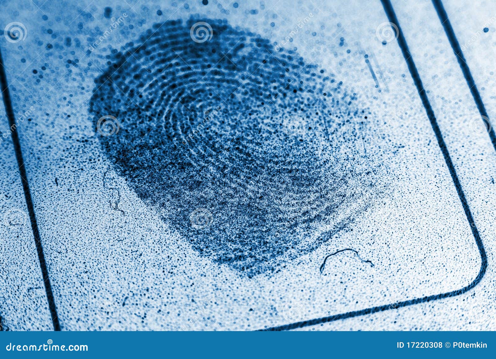 Digital Fingerprint Waveform For Biometric Security Stock Photography ...