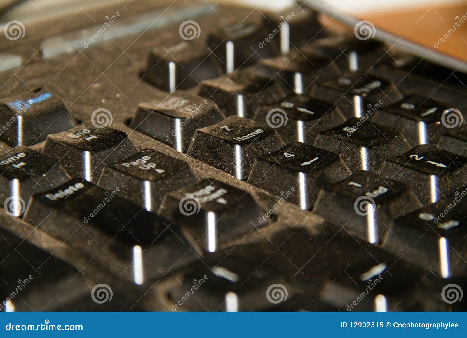 Dusty keyboard stock image. Image of keyboard, dirty - 12902315