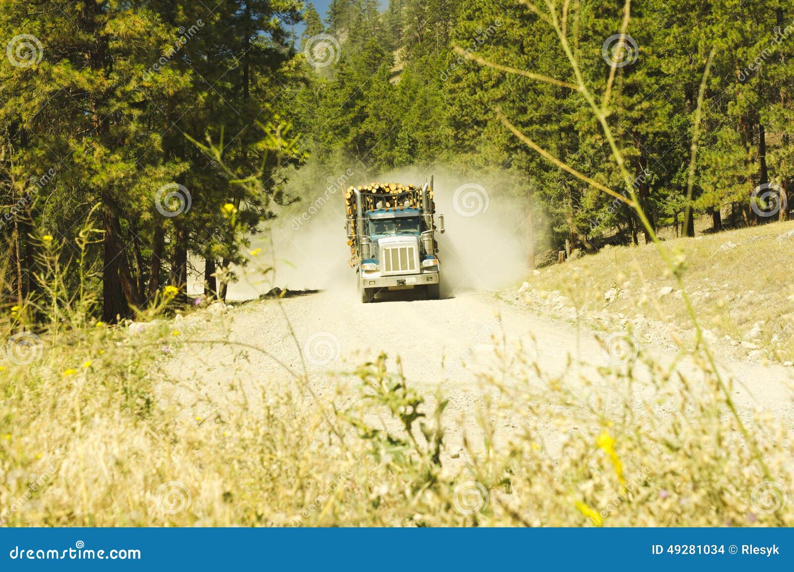Dusty logging truck stock photo. Image of industry, gravel - 49281034
