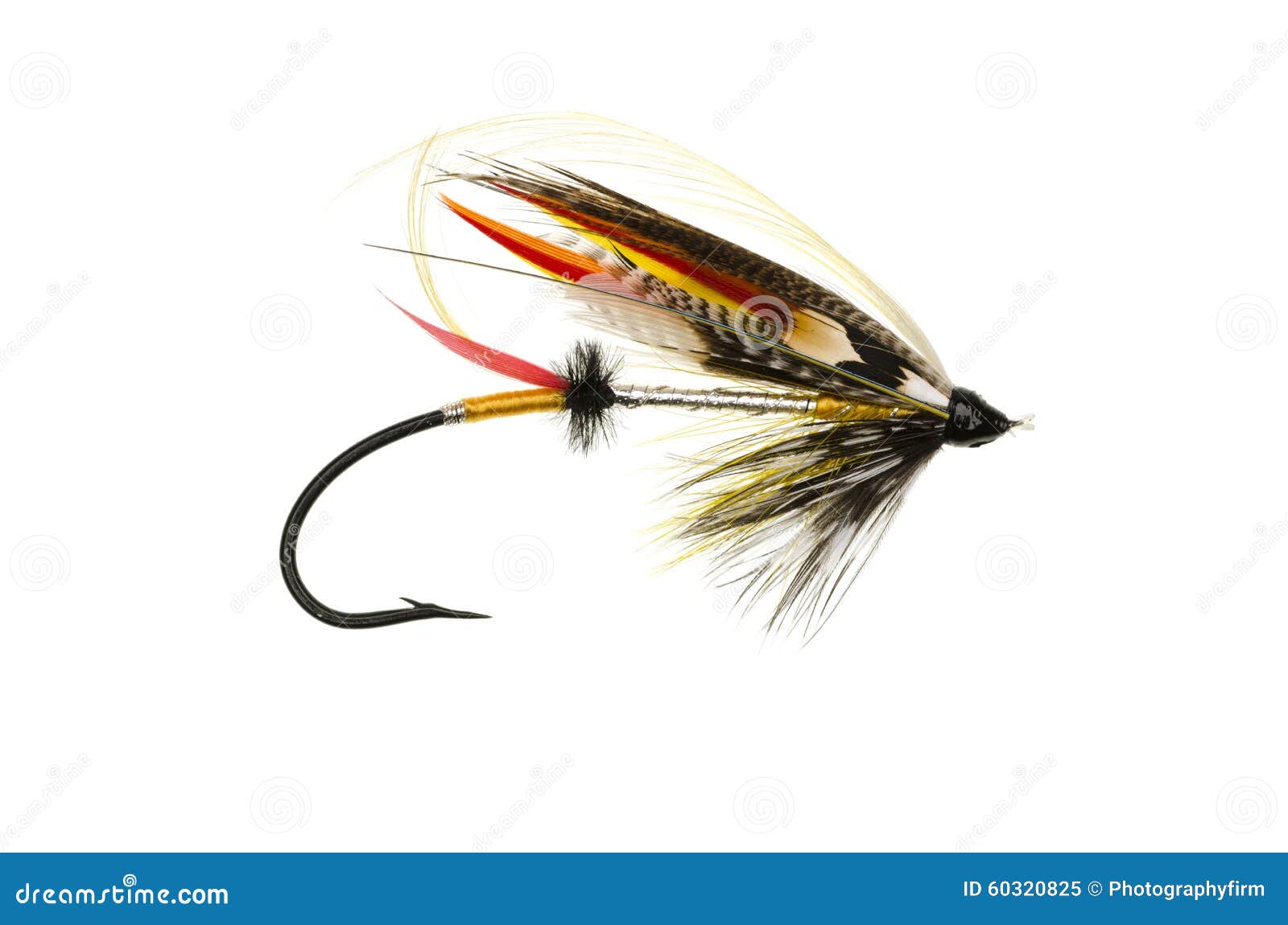 Dusty Miller Salmon Fly stock image. Image of traditional - 60320825