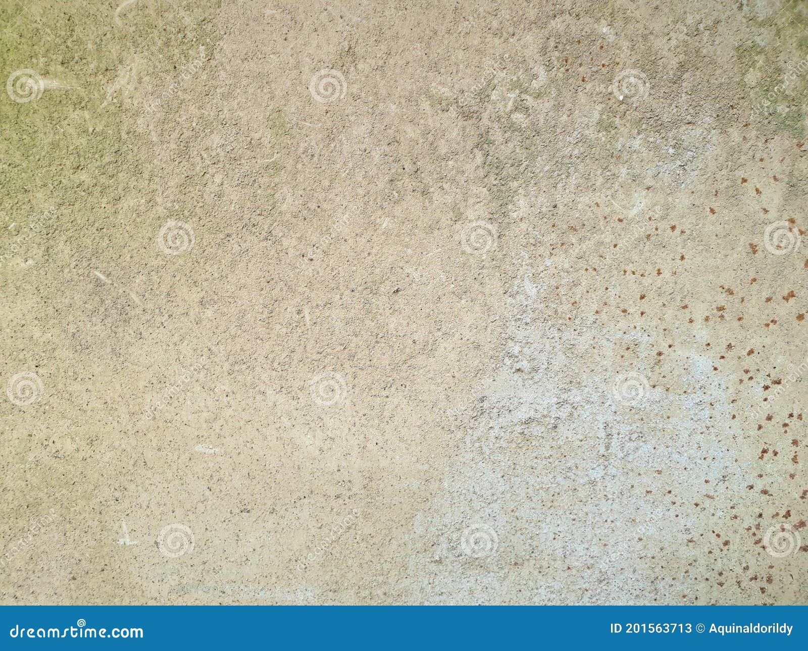 Dusty and mossy wall stock image. Image of panel, looks - 201563713