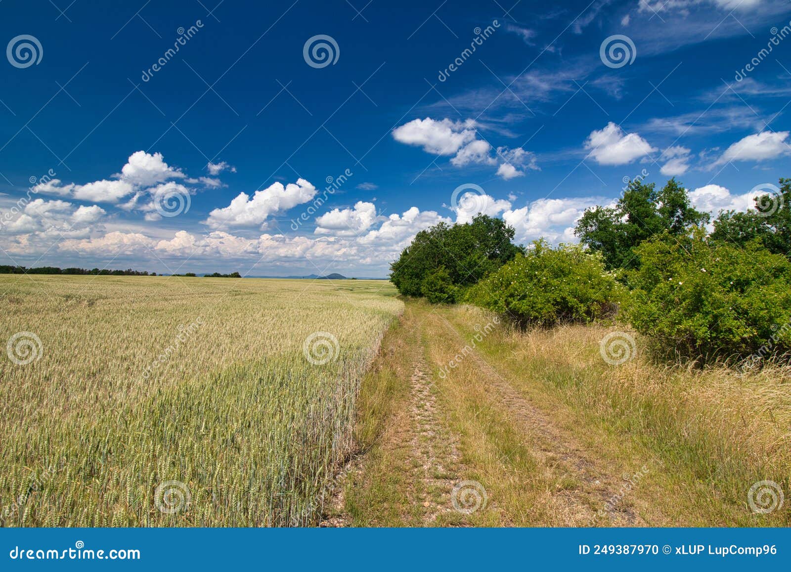 A Dusty Path Around Field in Spring Day Under Blue Sky with Clouds ...
