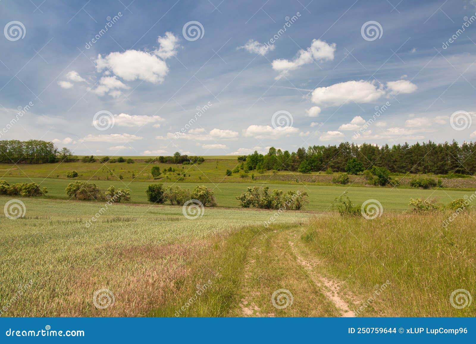 A Dusty Path Around Field in Spring Day Under Blue Sky with Clouds ...