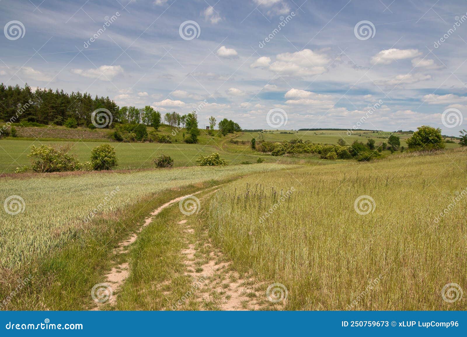 A Dusty Path Around Field in Spring Day Under Blue Sky with Clouds ...